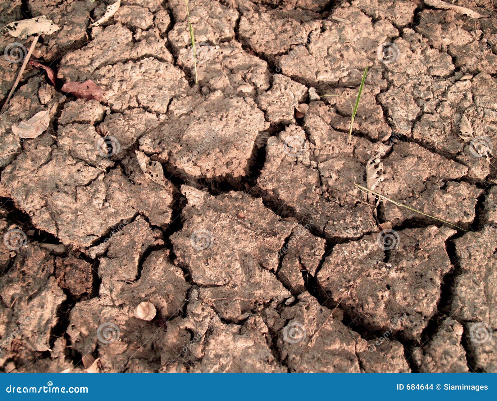 Suelo agrietado 01 foto de archivo. Imagen de muerto, roto - 684644