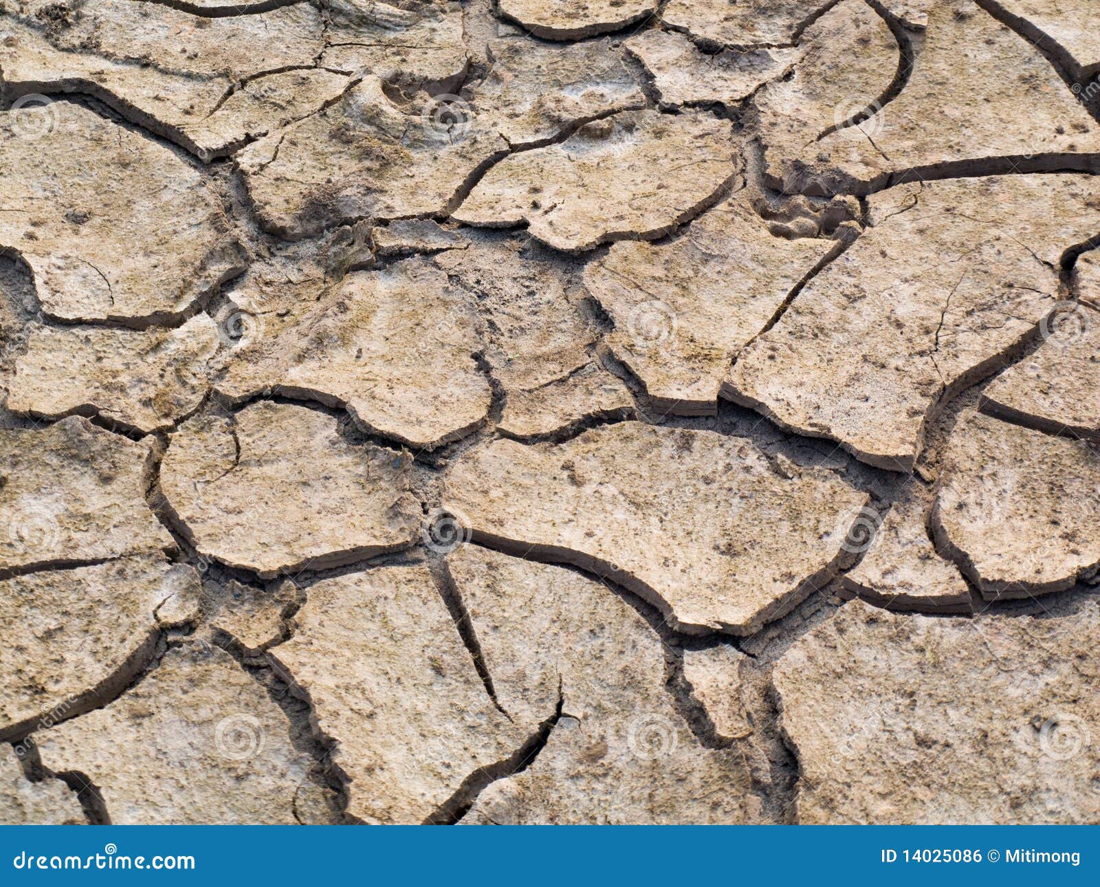Suelo agrietado foto de archivo. Imagen de grieta, rainless - 14025086