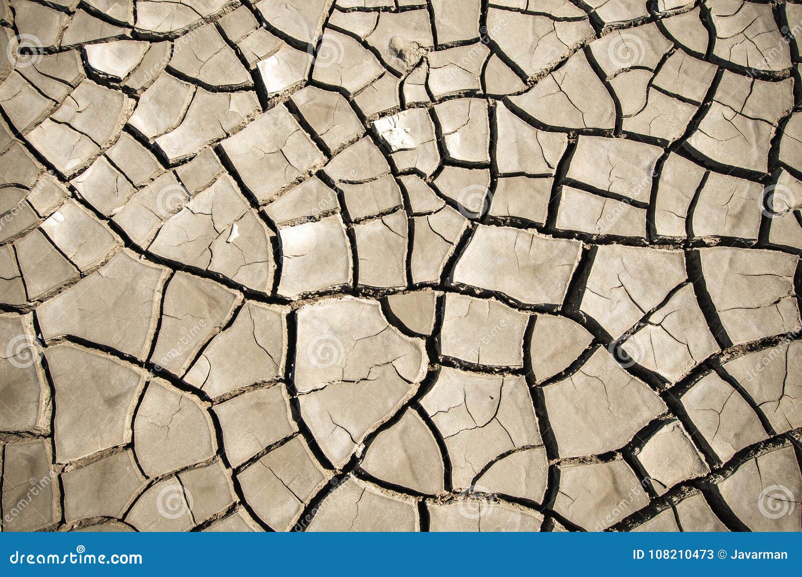 Suelo Agrietado Del Desierto Imagen de archivo - Imagen de seco, gris ...