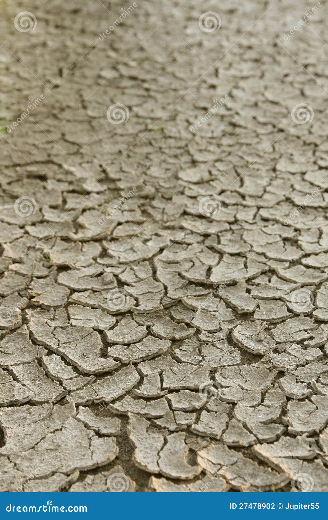 Suelo agrietado muy seco. foto de archivo. Imagen de ambiente - 27478902
