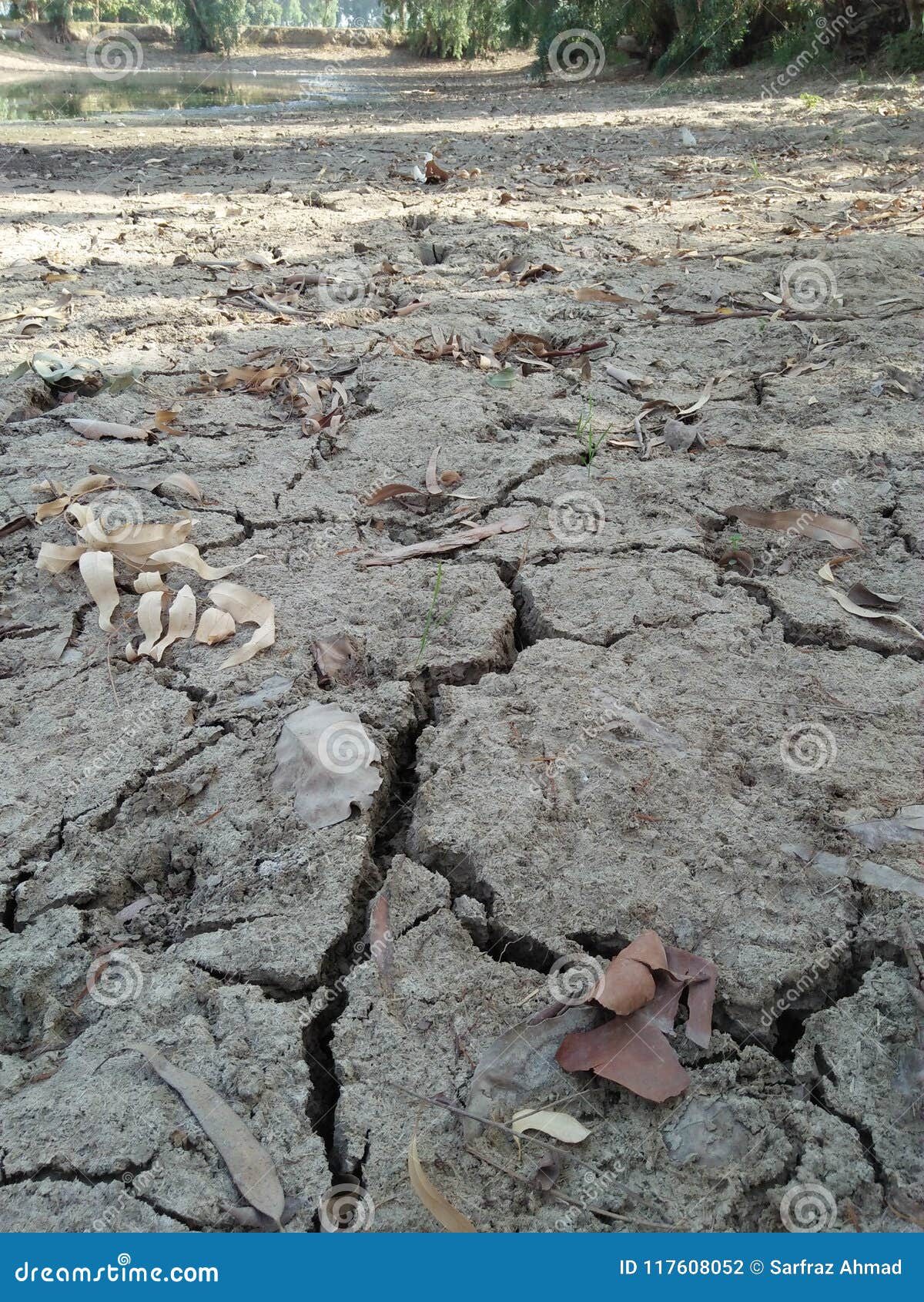 SUELO BIEN DRENADO foto de archivo. Imagen de contenga - 117608052