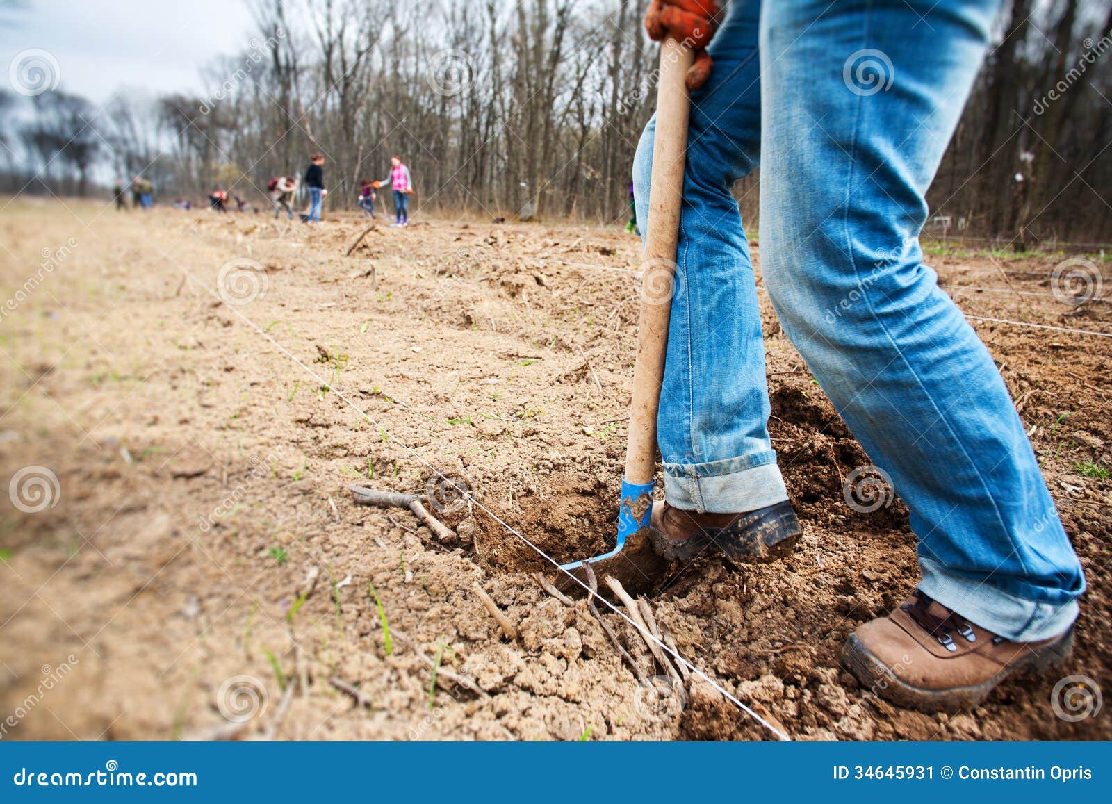 Suelo De Excavación Usando Una Pala Imagen de archivo - Imagen de ...