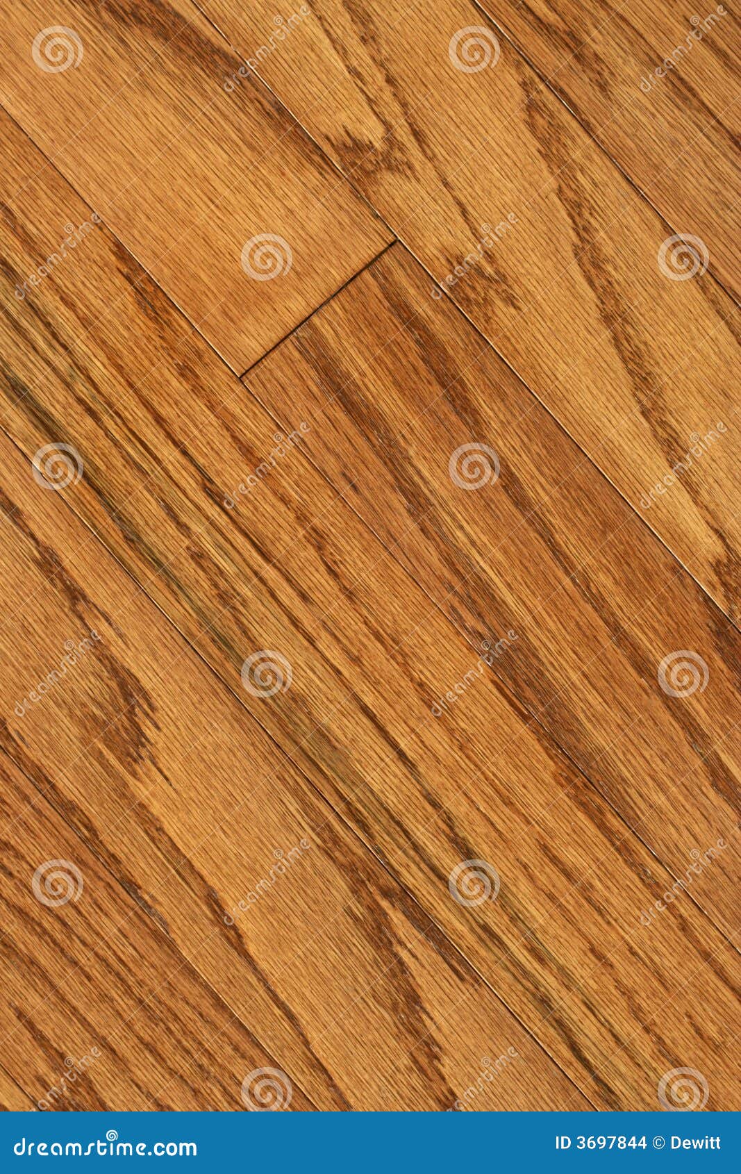 Suelo de madera foto de archivo. Imagen de grano, hardwood - 3697844