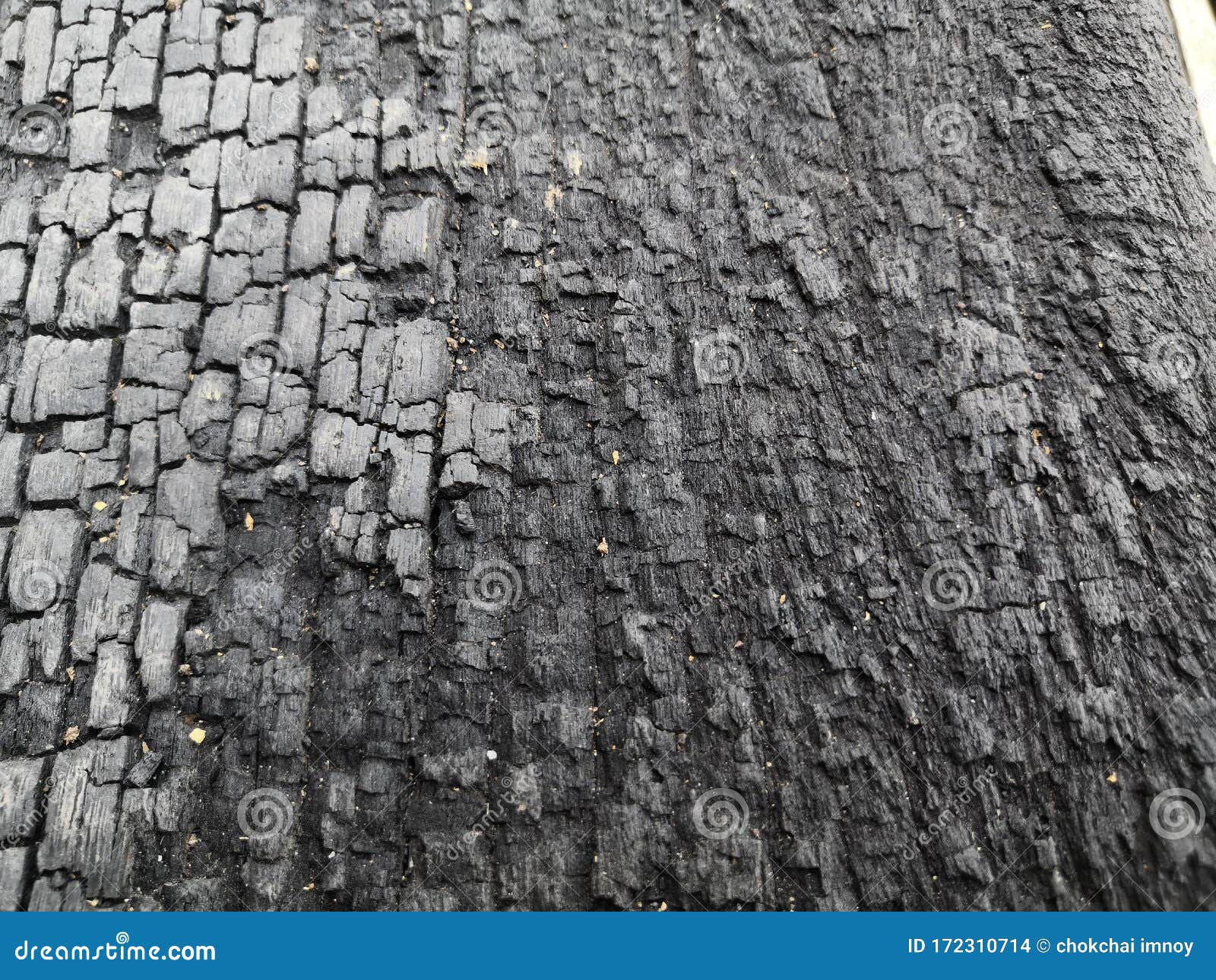 Suelo de madera quemada foto de archivo. Imagen de cubo - 172310714