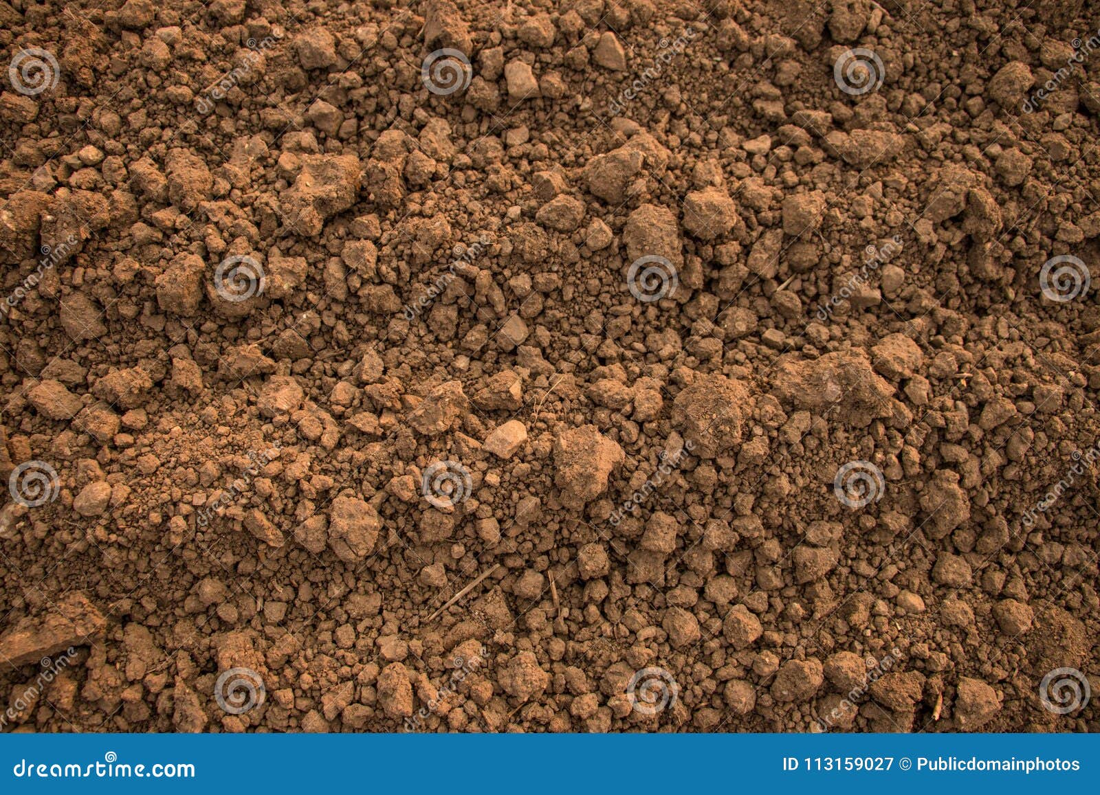 La Textura De La Grava De Rocas Del Suelo Imagen. Imagen: 113159027