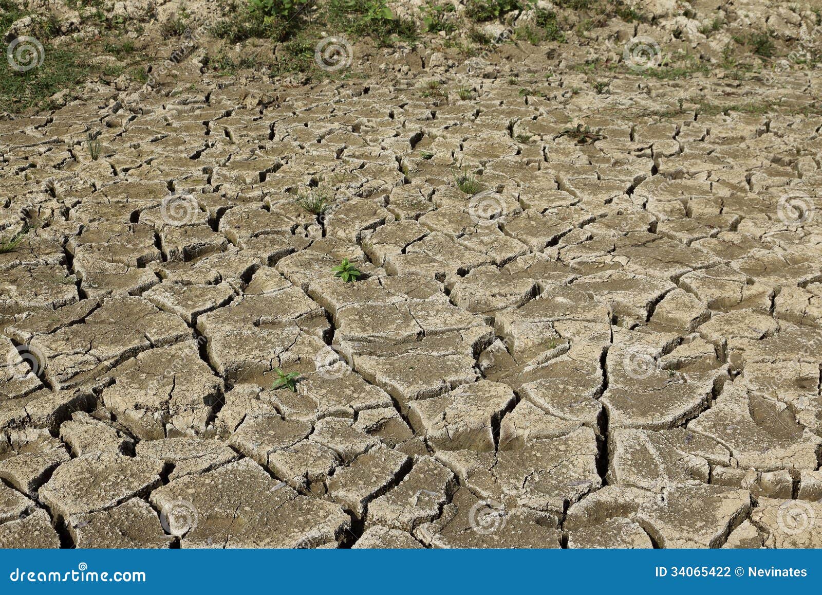 Suelo Seco Fotos De Stock - Download 85,192 Fotos Libres de Derechos