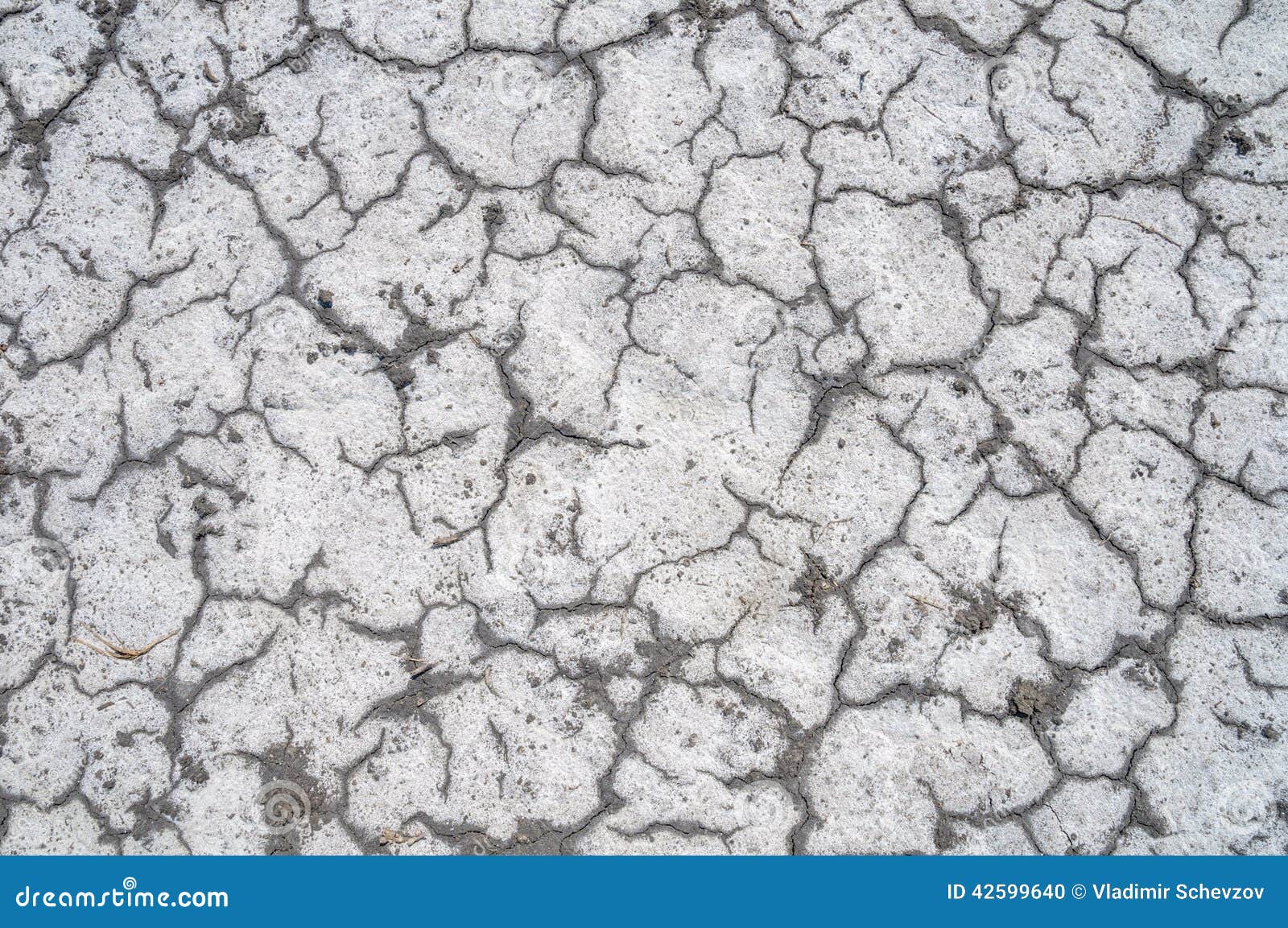 Suelos Salinos De La Textura Foto de archivo - Imagen de cierre ...