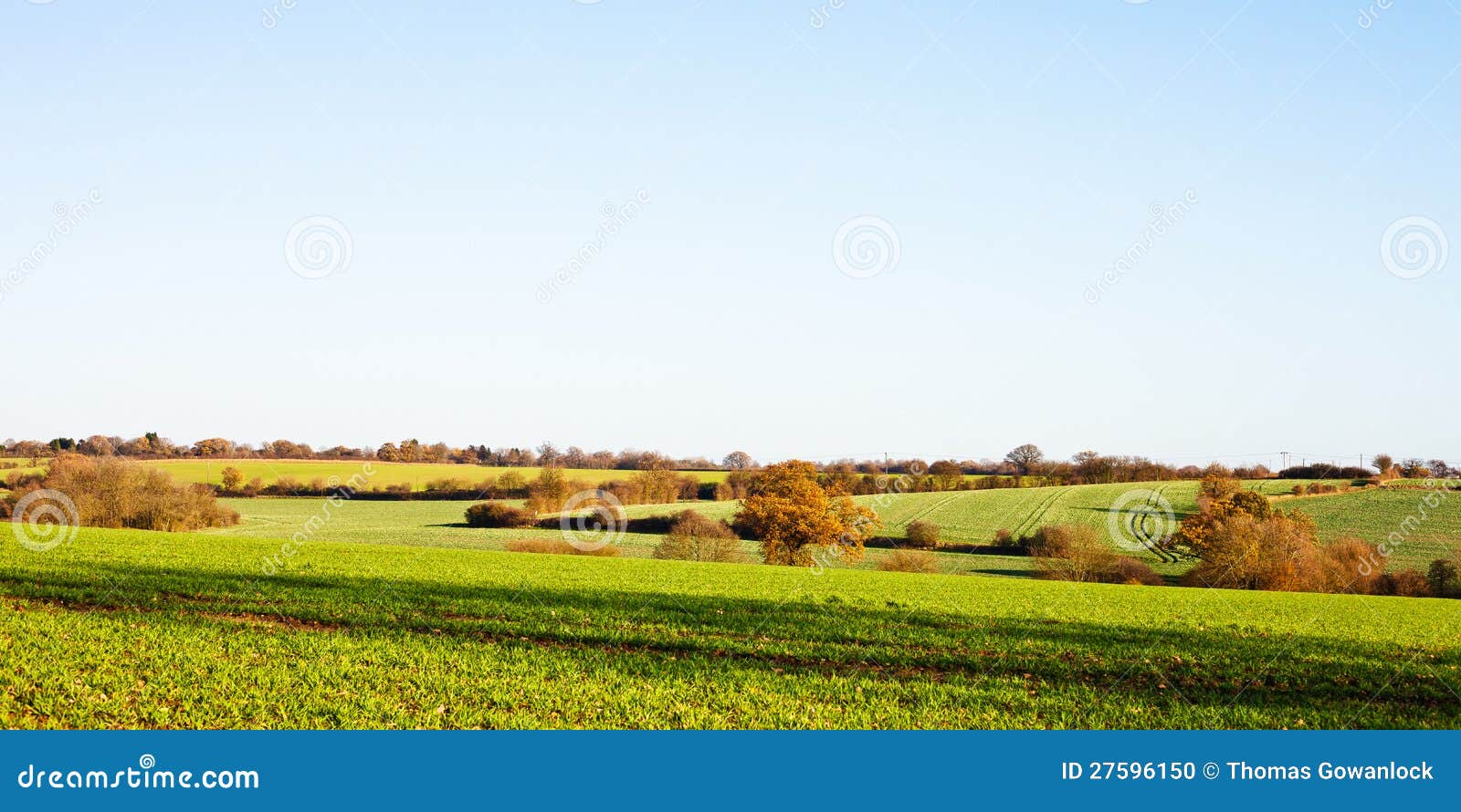 Suffolk Landscape stock photo. Image of east, flowers - 27596150