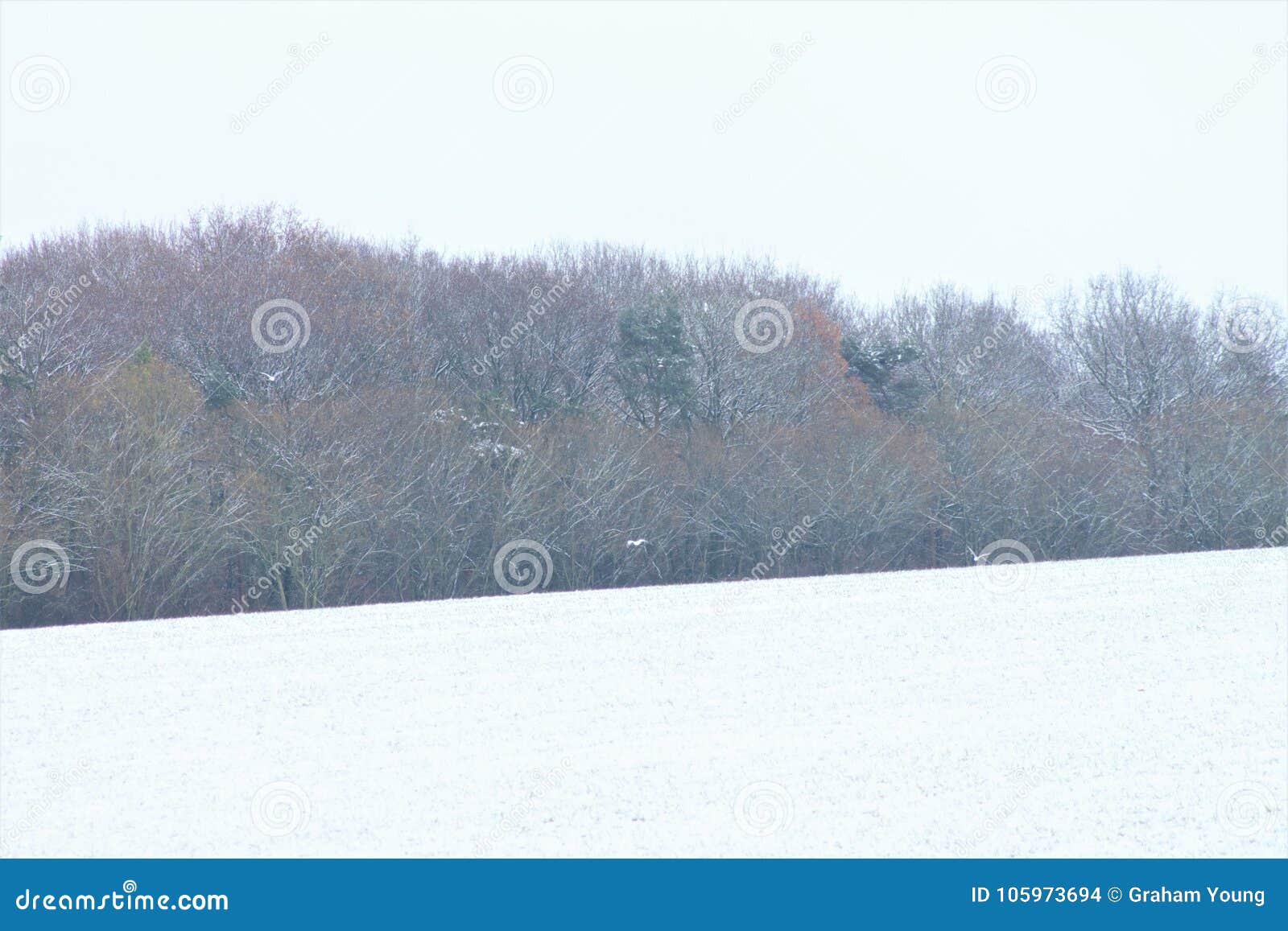 Suffolk snw in Shimpling stock foto. Image of sneeuwval - 105973694