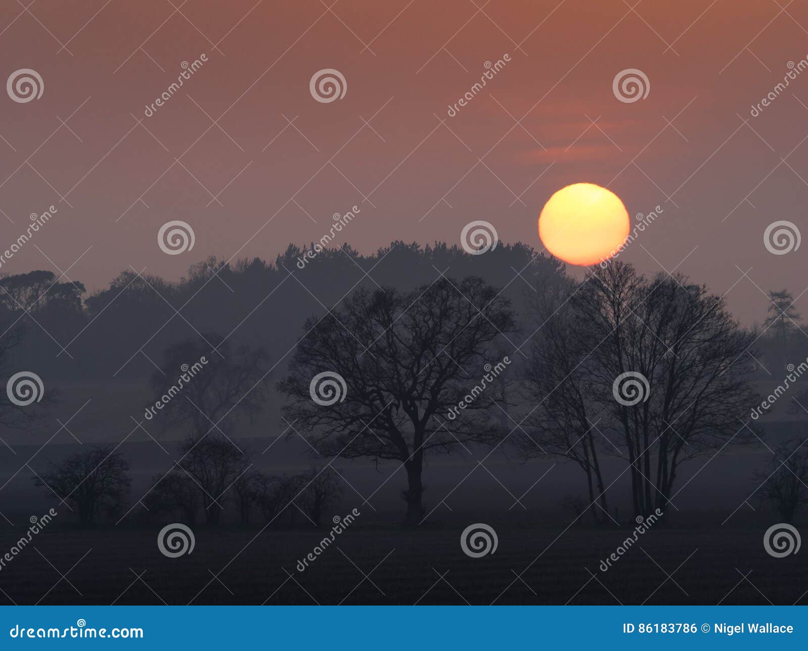 Suffolk Sunset stock photo. Image of farming, dusk, trees - 86183786