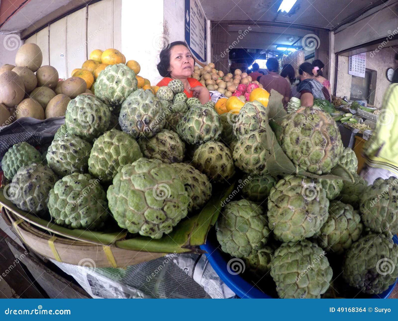 Sugar apple editorial stock image. Image of apple, sugar - 49168364