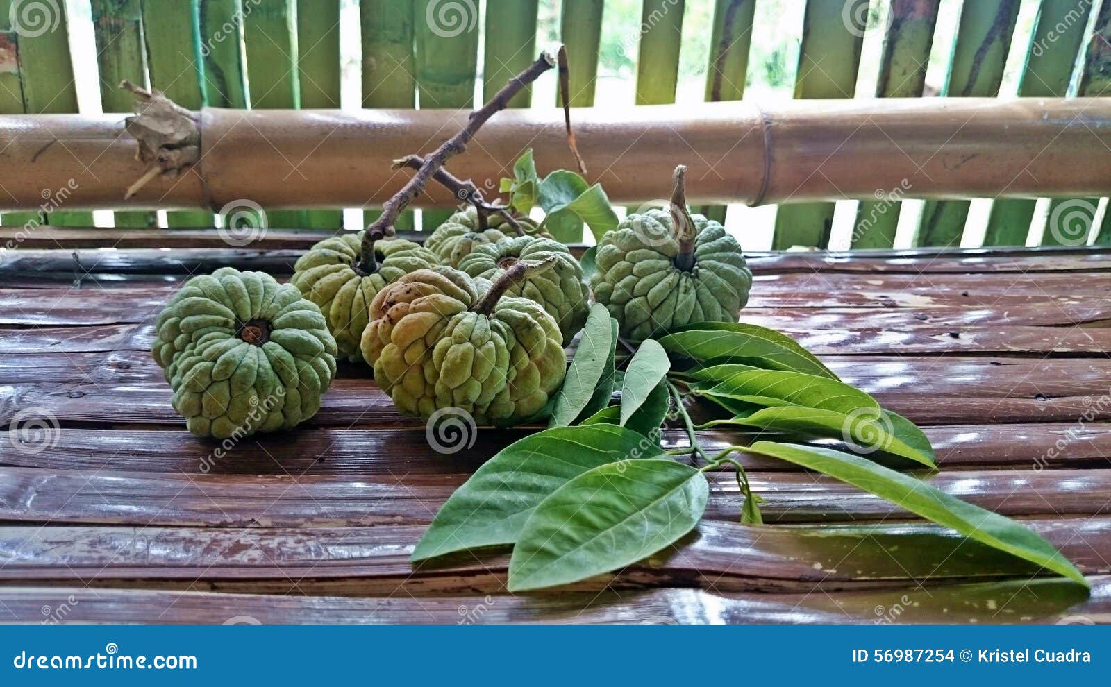 Sugar Apples Or Annona Fruits Isolated White Royalty-Free Stock Image ...