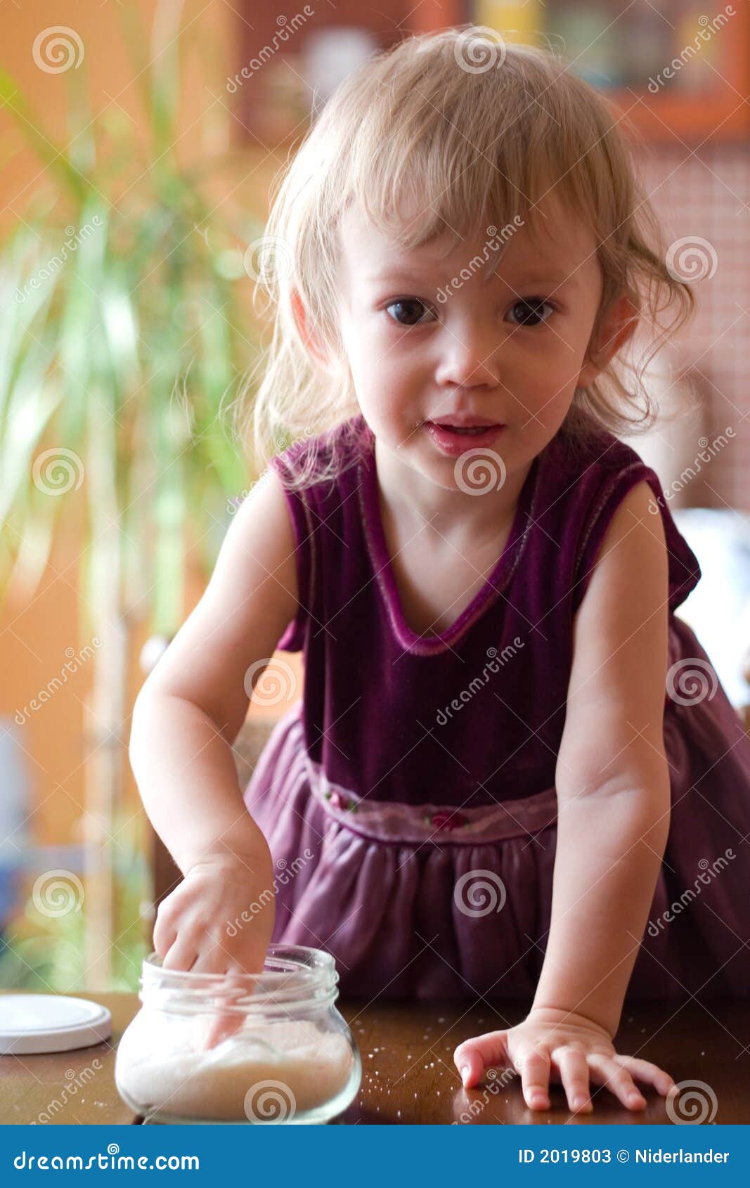 Sugar baby stock image. Image of daughter, portrait, child - 2019803