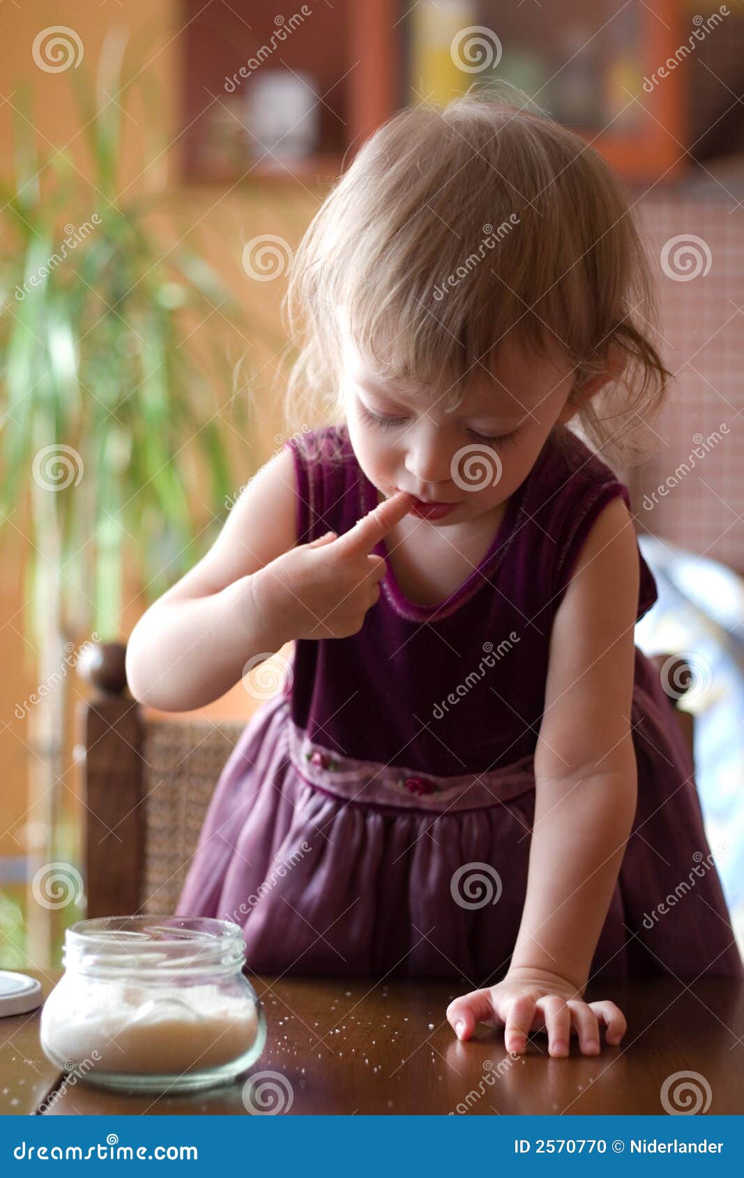 Sugar baby stock photo. Image of sugar, beautiful, portrait - 2570770