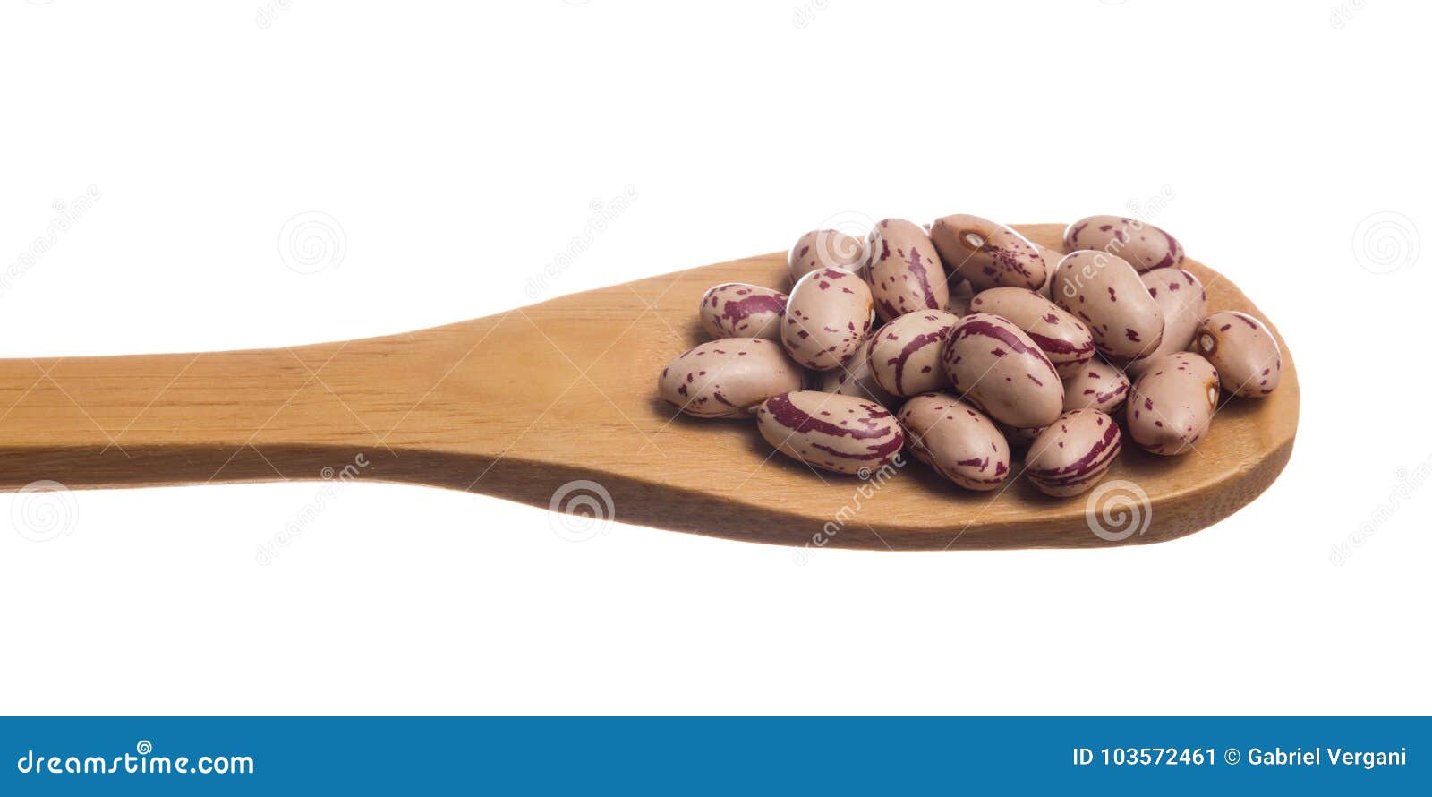 Sugar Bean imagen de archivo. Imagen de rosa, fresco - 103572461