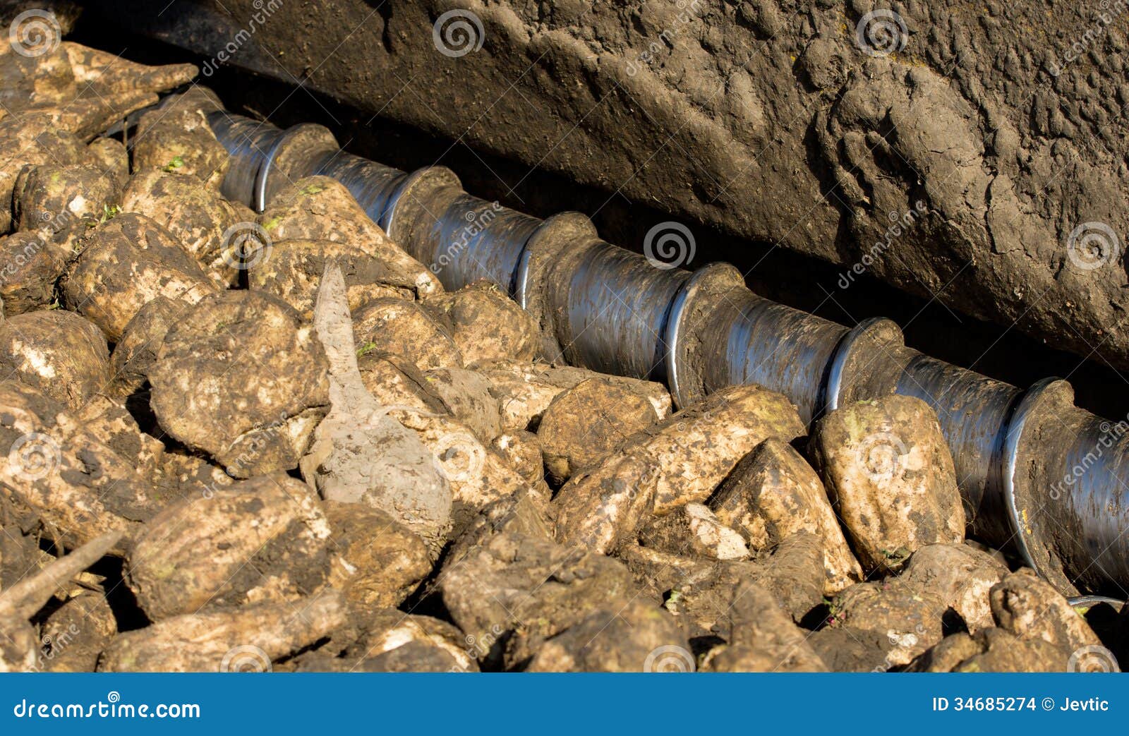 Auger Conveyor Moves Sawdust From Sawmill Royalty-Free Stock ...