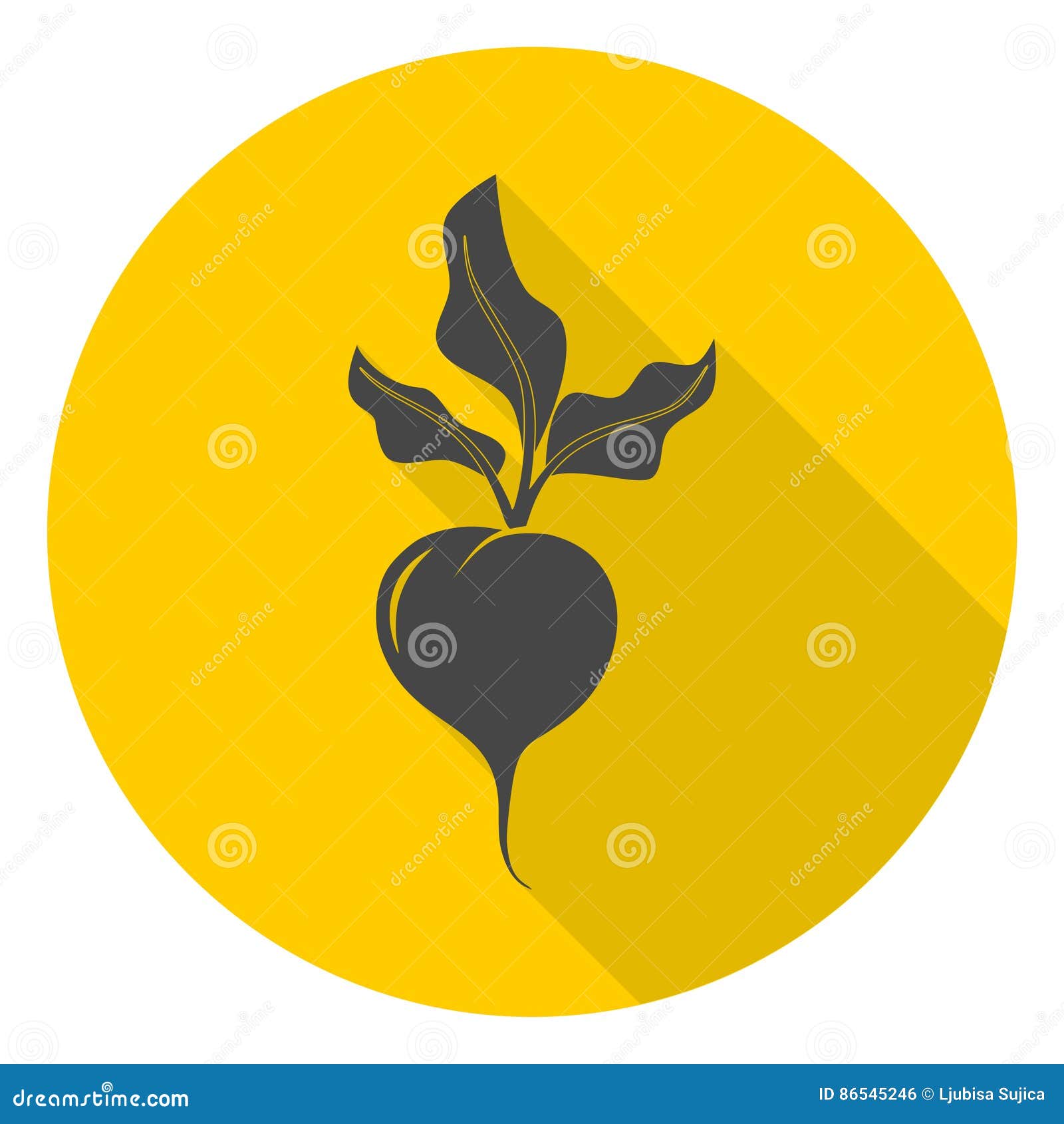 Sugar Beet Icon with Long Shadow Stock Vector - Illustration of banana ...
