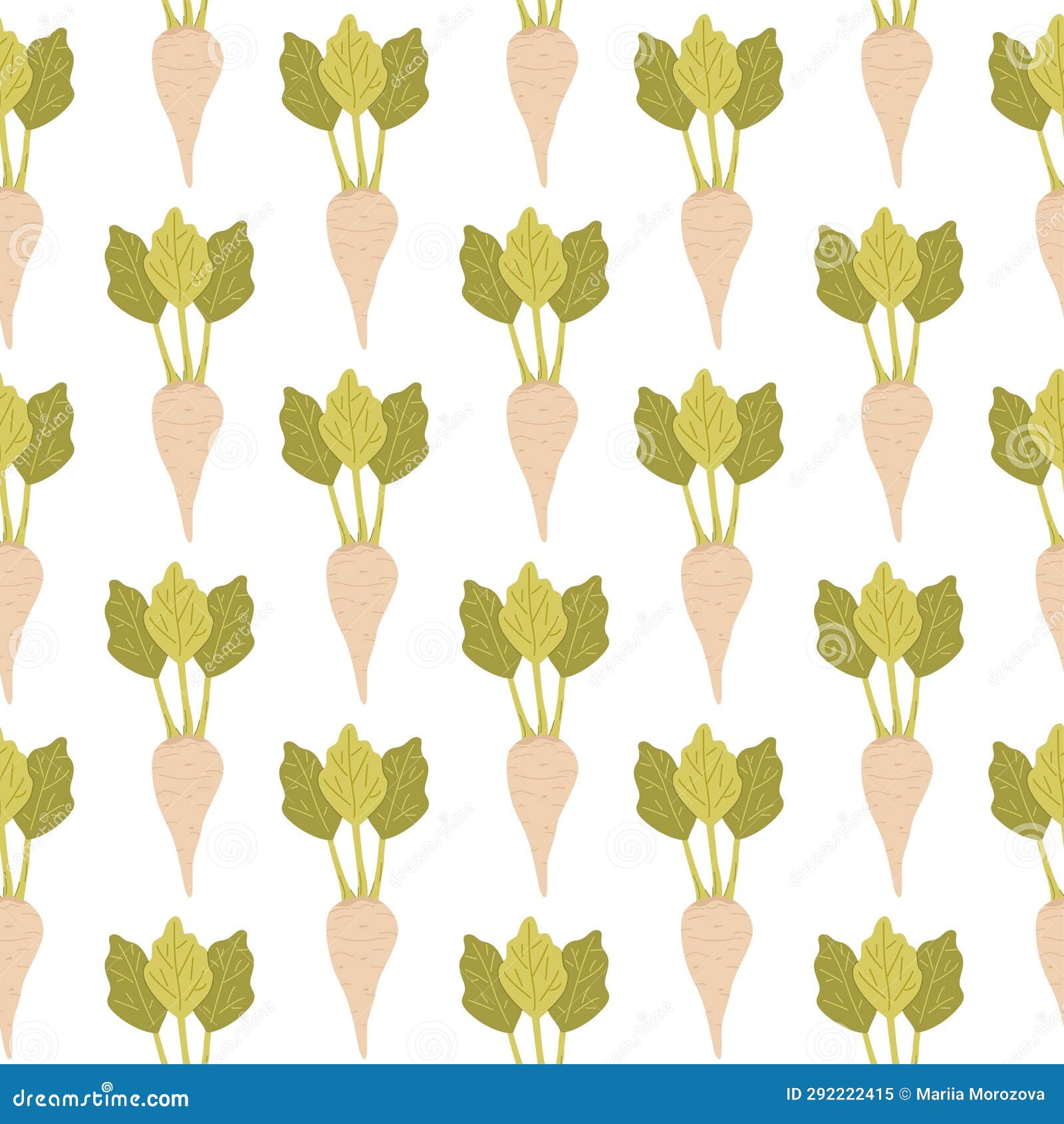 Sugar Beet Pattern on White Background. Seamless Background from White ...