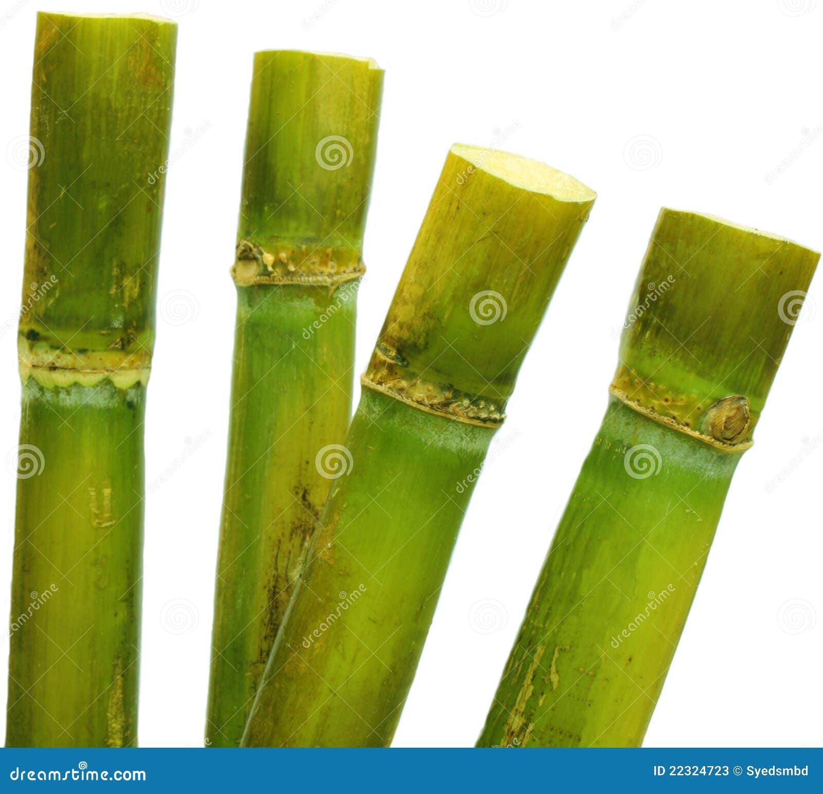 Sugar cane stock image. Image of grow, stem, farm, stalk - 22324723