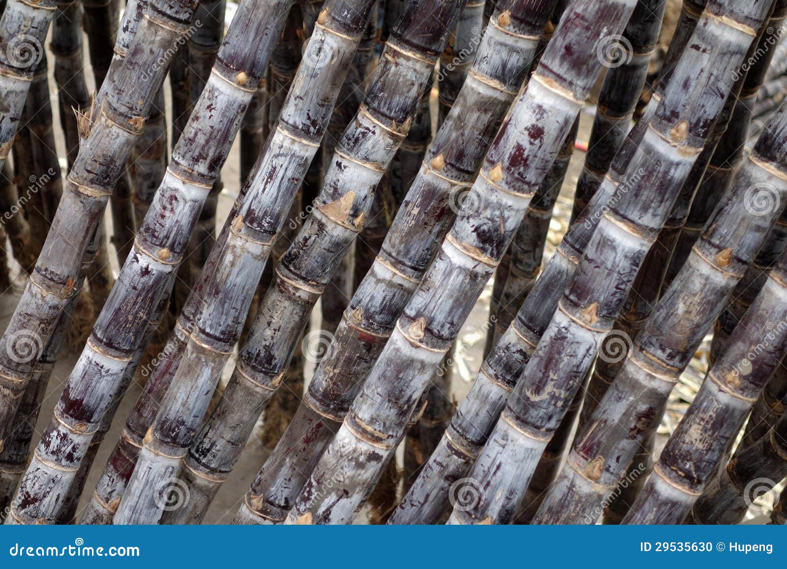 Sugar Cane Industry Roof Smoke Stock Photo | CartoonDealer.com #95860494