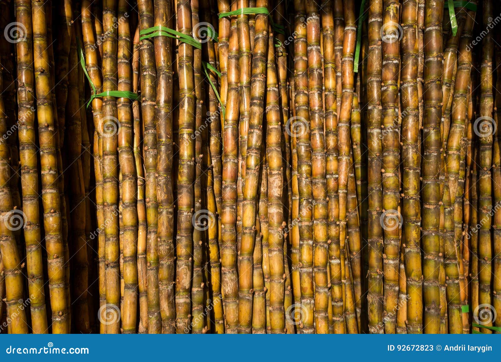 Sugar cane background stock image. Image of harvest, sweet - 92672823