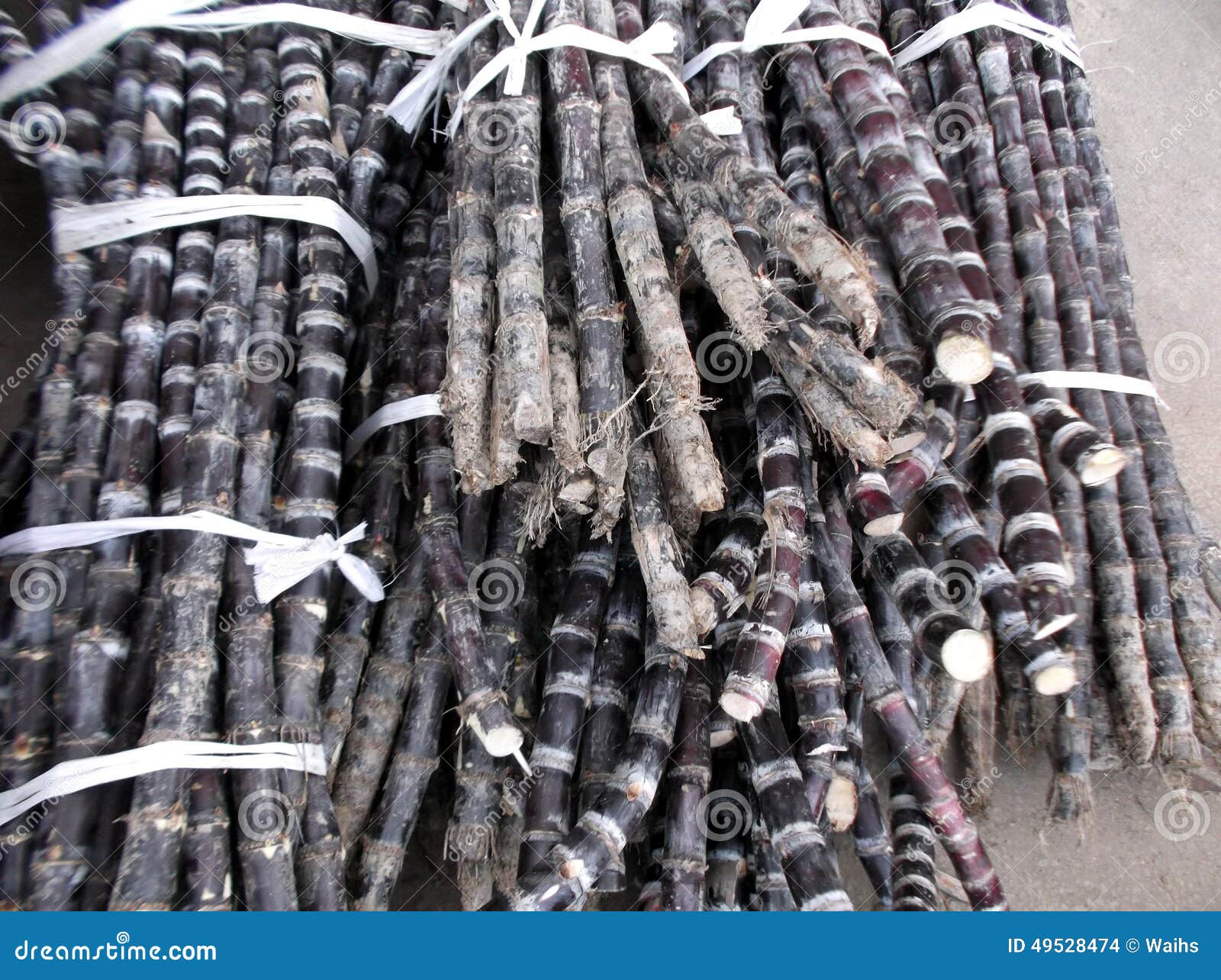 Sugar cane stock photo. Image of asia, close, snacks - 49528474