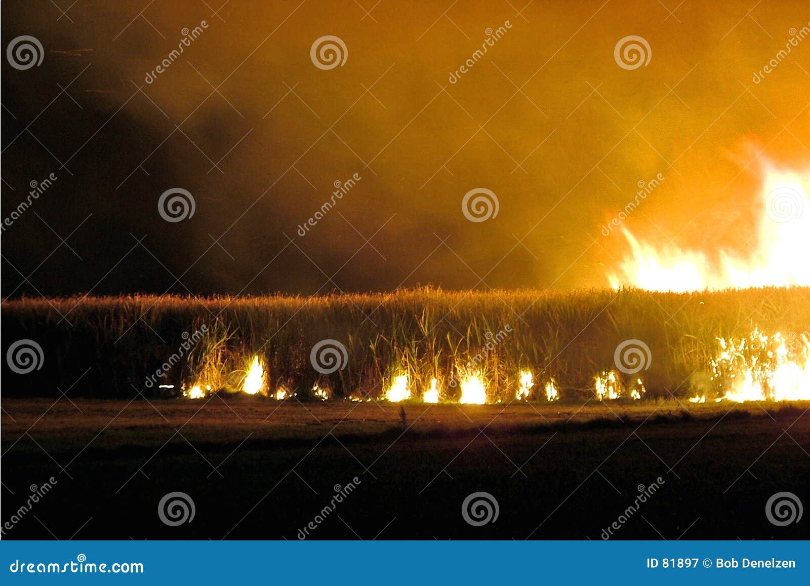 542 Sugar Cane Fire Stock Photos - Free & Royalty-Free Stock Photos ...