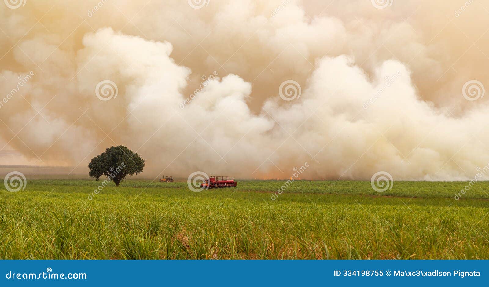 Sugar Cane Fire Plantation Smoke Stock Image - Image of yellow, hell ...