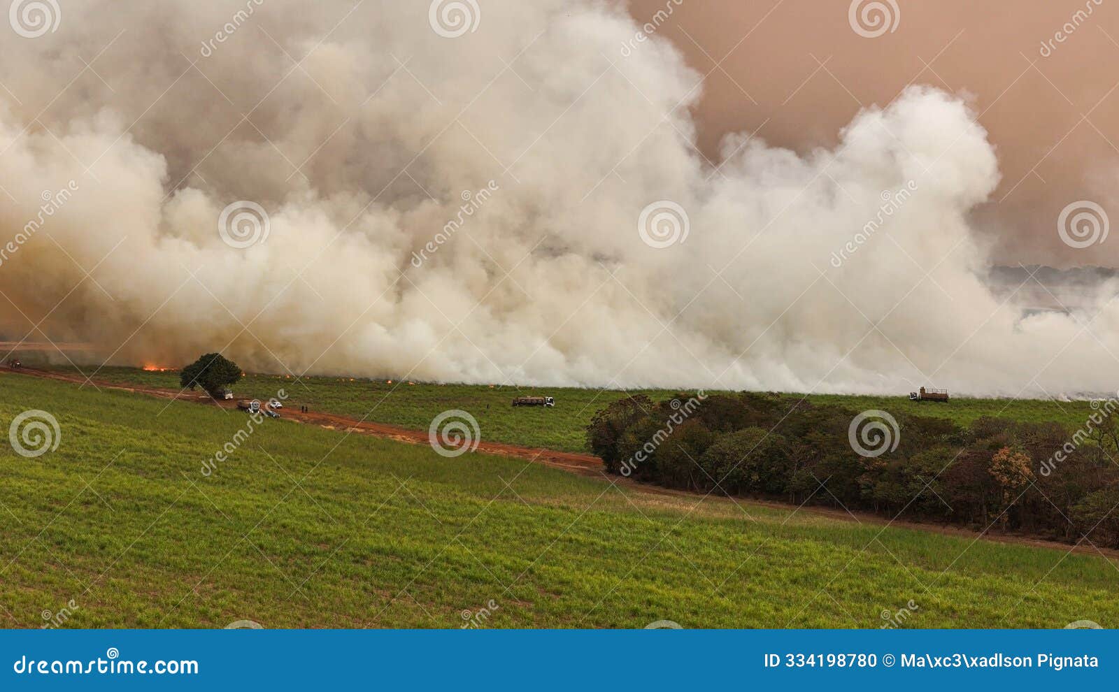 Sugar Cane Fire Plantation Smoke Stock Photo - Image of cane, pollution ...
