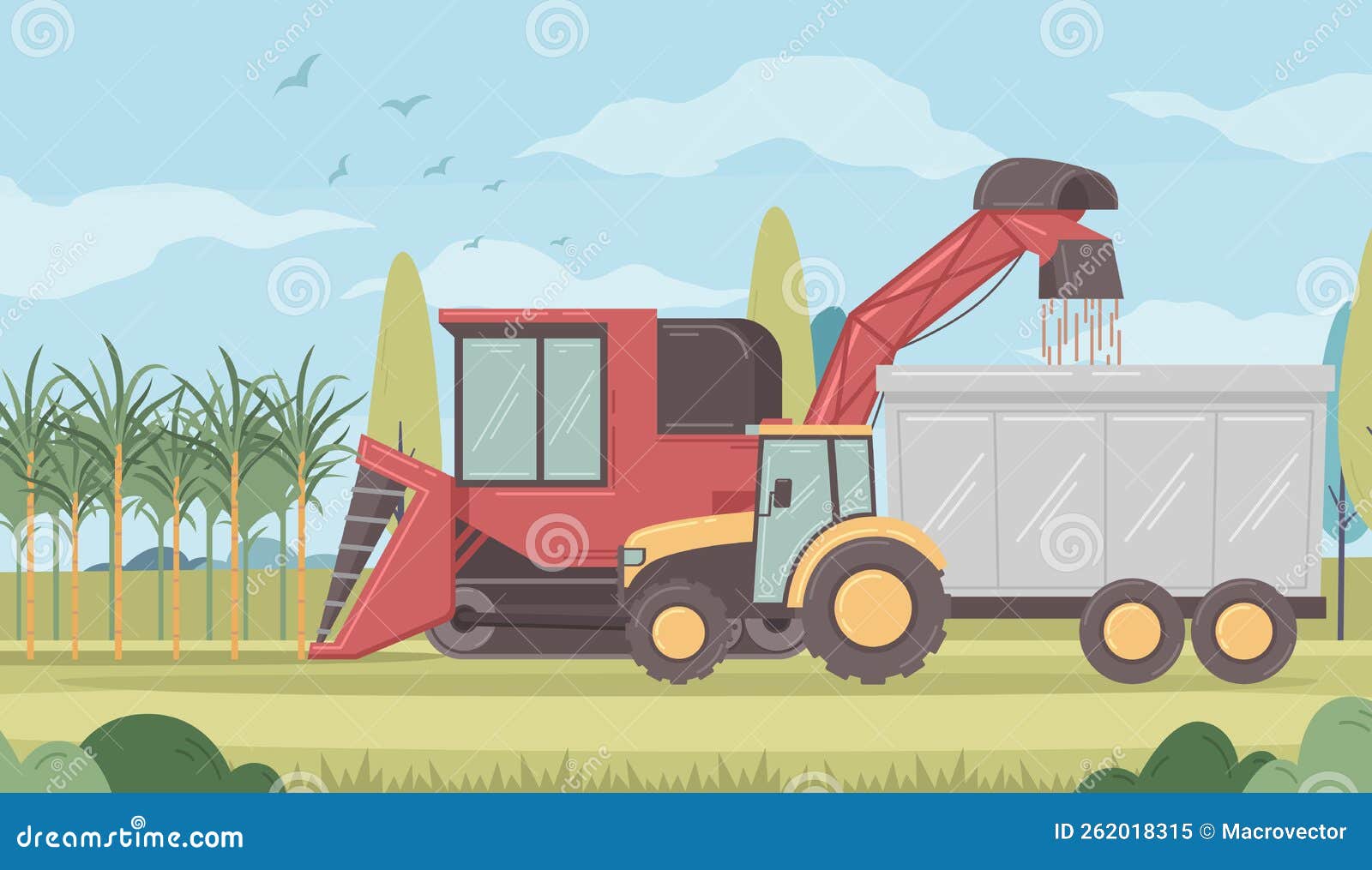 Sugar Cane Harvesting Illustration Stock Vector - Illustration of ...