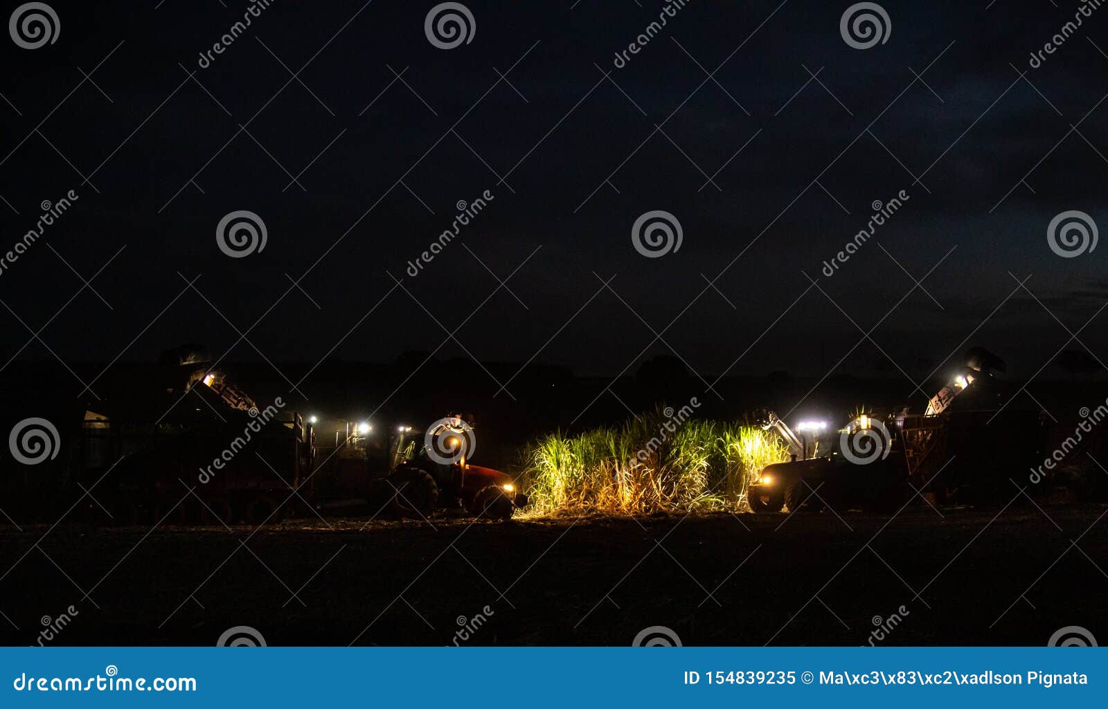 Sugar Cane Hasvest Plantation Night Stock Image - Image of harvest ...