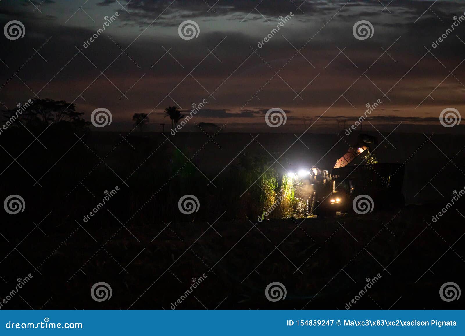 Sugar Cane Hasvest Plantation Night Stock Image - Image of industry ...
