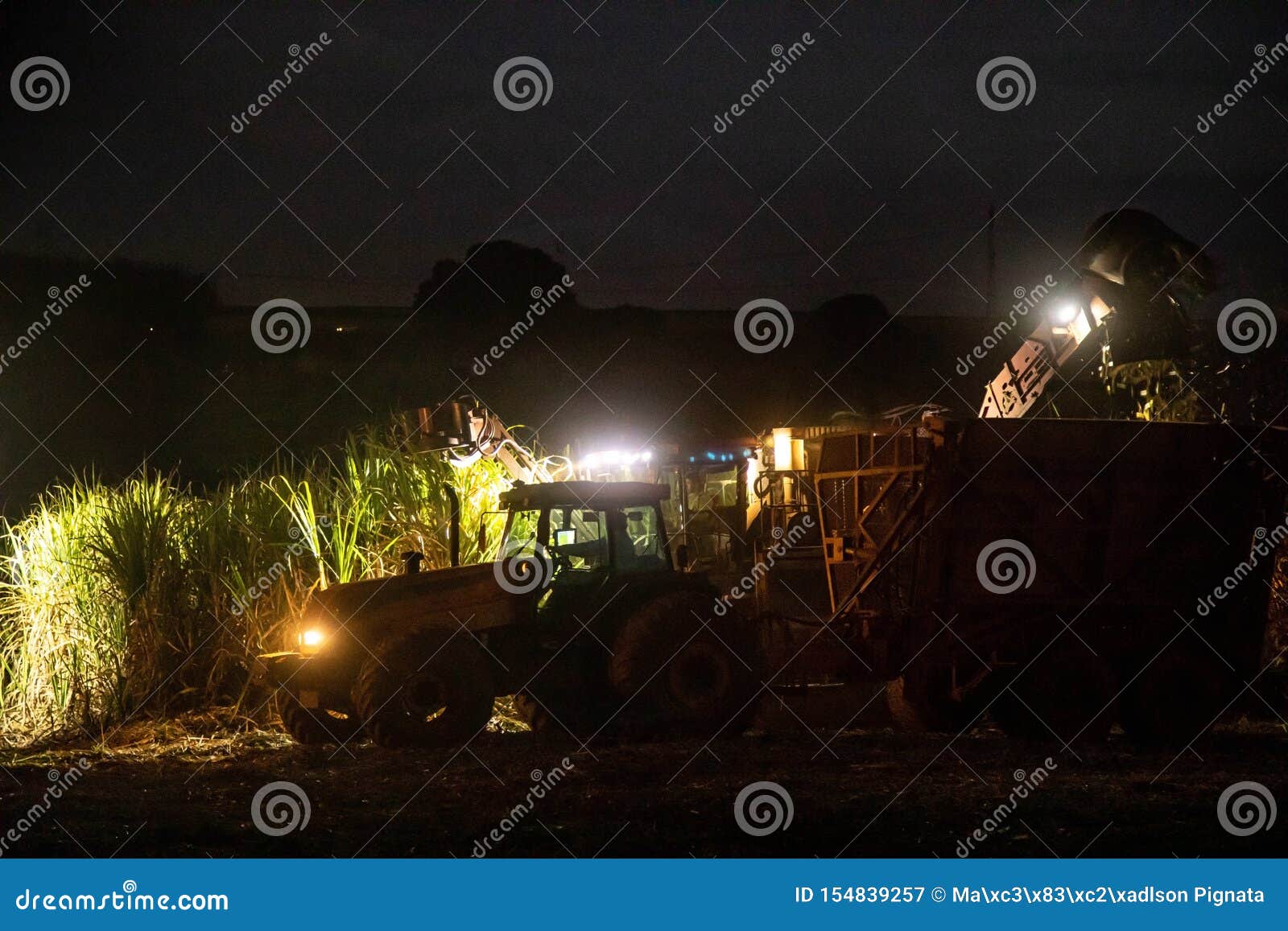 Sugar Cane Hasvest Plantation Night Stock Image - Image of dark ...