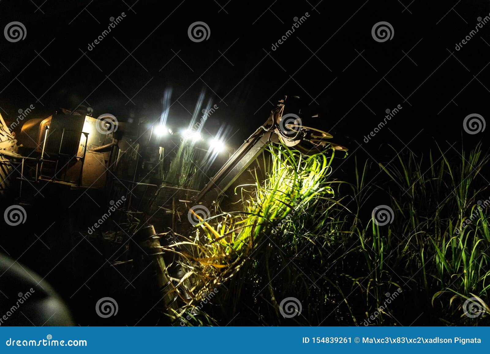 Sugar Cane Hasvest Plantation Night Stock Image - Image of agriculture ...