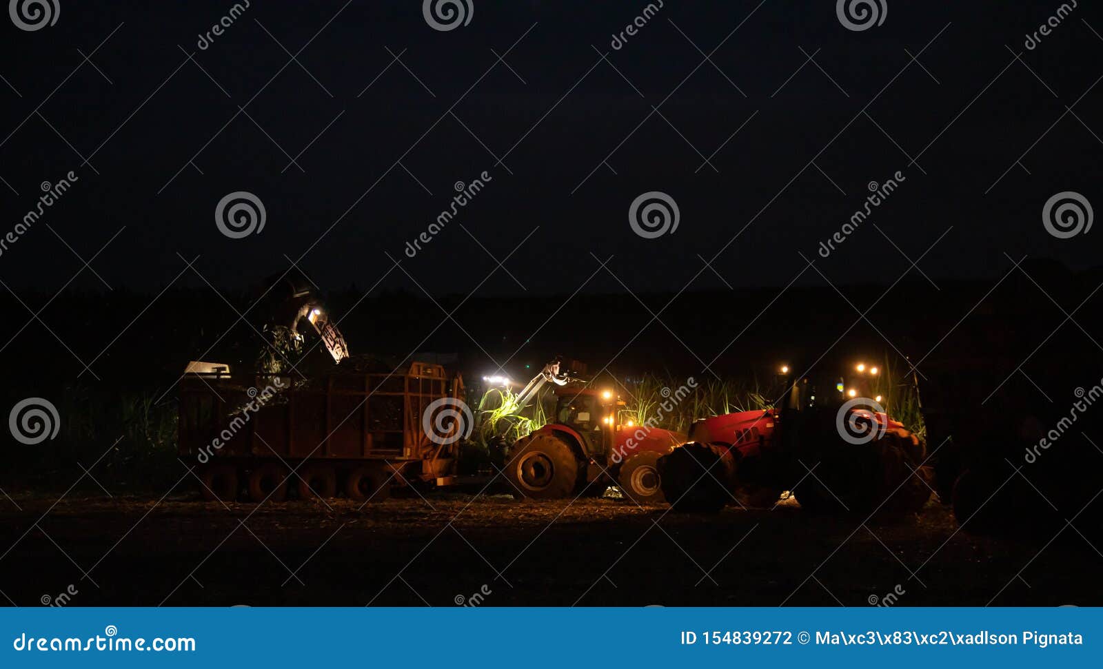 Sugar Cane Hasvest Plantation Night Stock Photo - Image of brazil ...