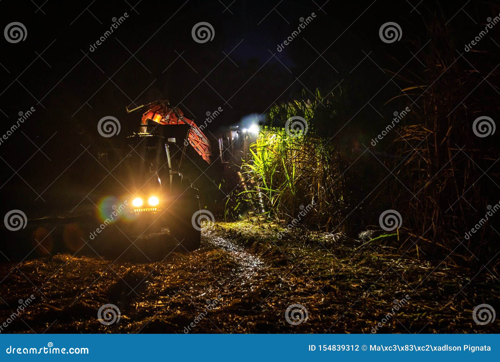 Sugar Cane Hasvest Plantation Night Stock Photo - Image of biomass ...