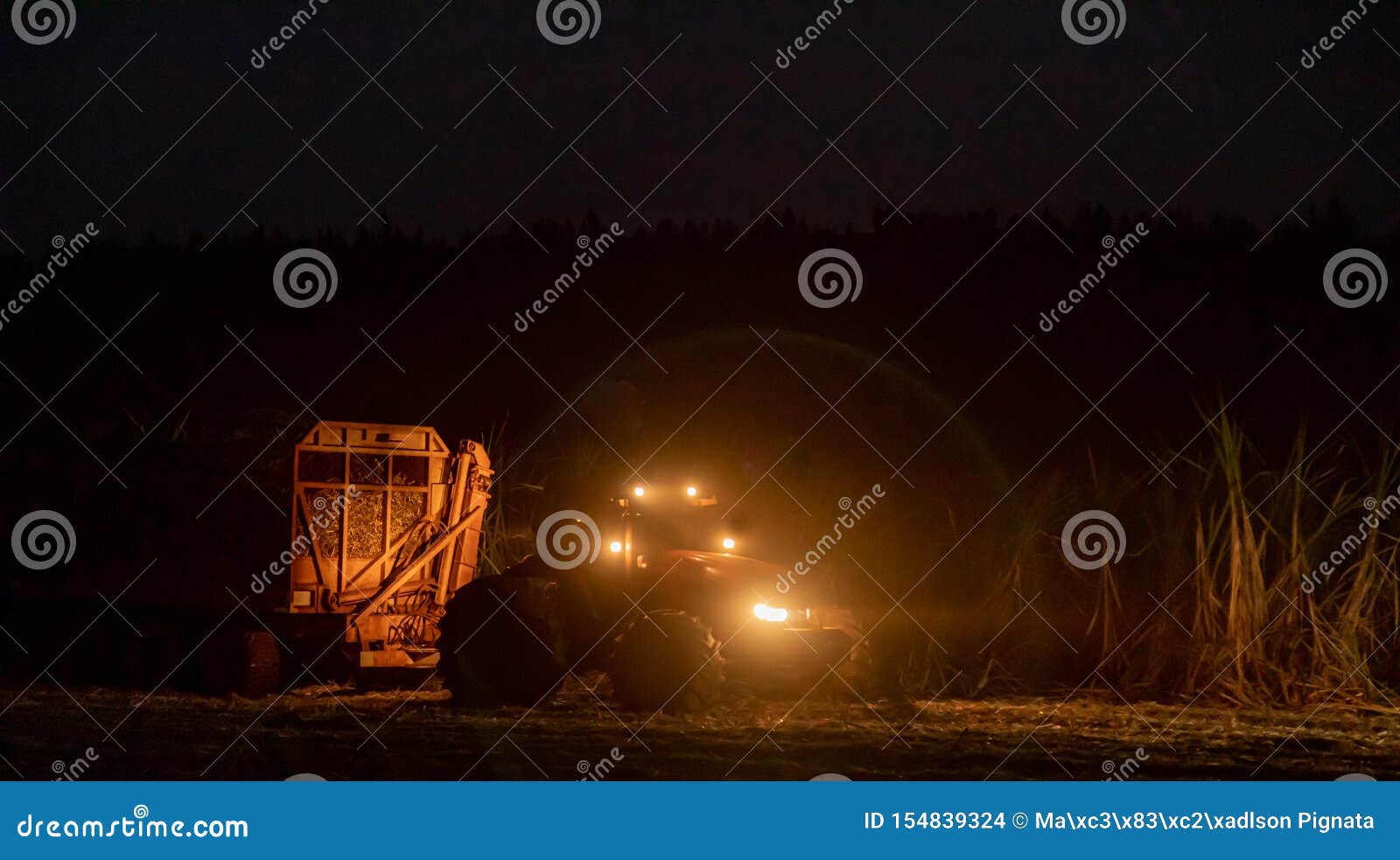 Sugar Cane Hasvest Plantation Night Stock Photo - Image of biofuel ...