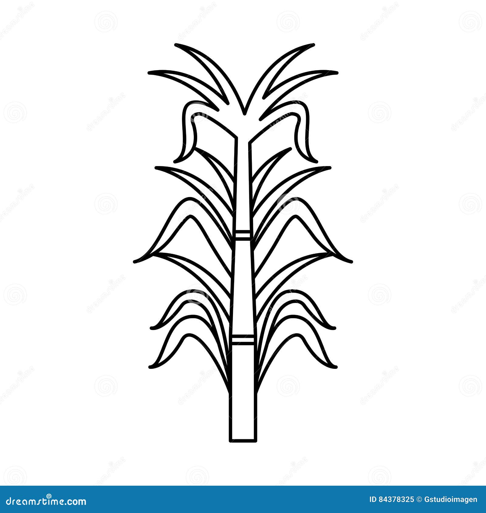 Sugar cane isolated icon stock illustration. Illustration of healthy ...