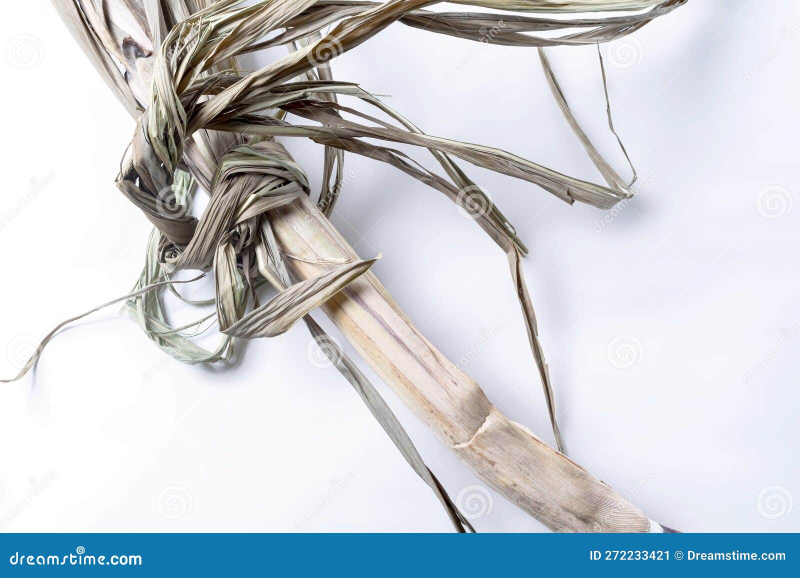 Sugar Cane Isolated on a White Background, Close-up Dry Cane Stock ...