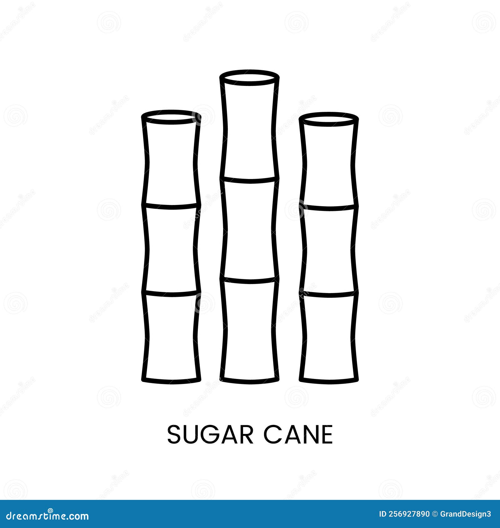 Sugar Cane Linear Icon in Vector, Illustration of the Plant from Which Sugar is Made. Stock ...