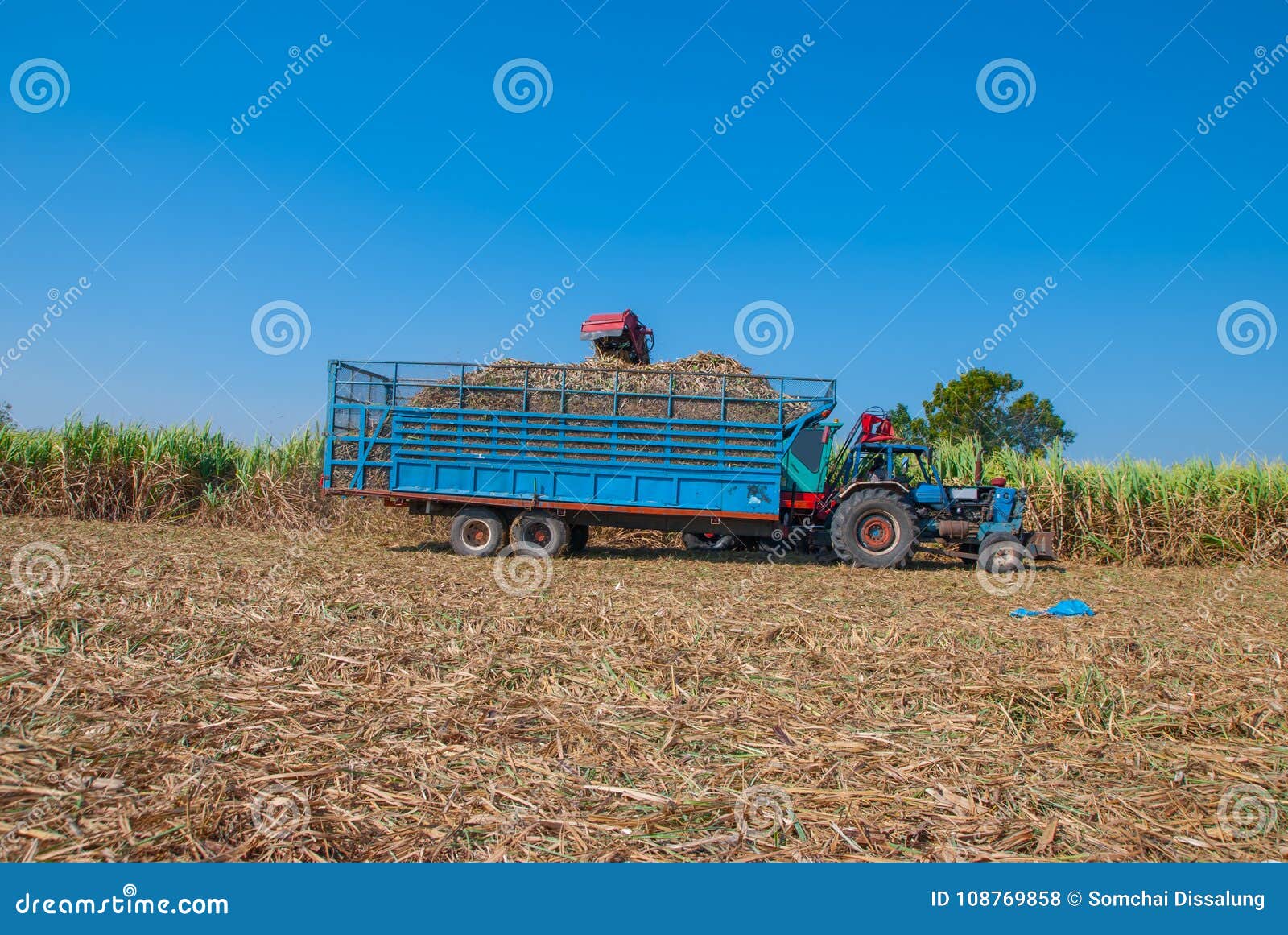 Sugar Cane Machine, Sugar Cane Machine in Thailand Stock Photo - Image ...