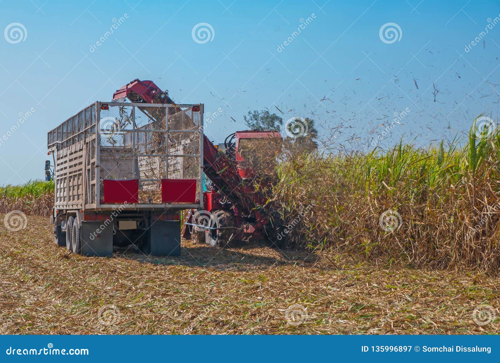 Sugar Cane Machine, Sugar Cane Machine from Thailand Country Editorial ...