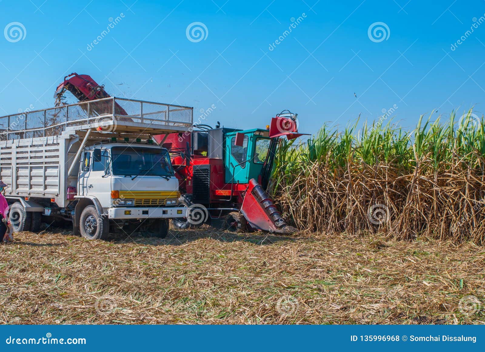 Sugar Cane Machine, Sugar Cane Machine from Thailand Country Editorial ...
