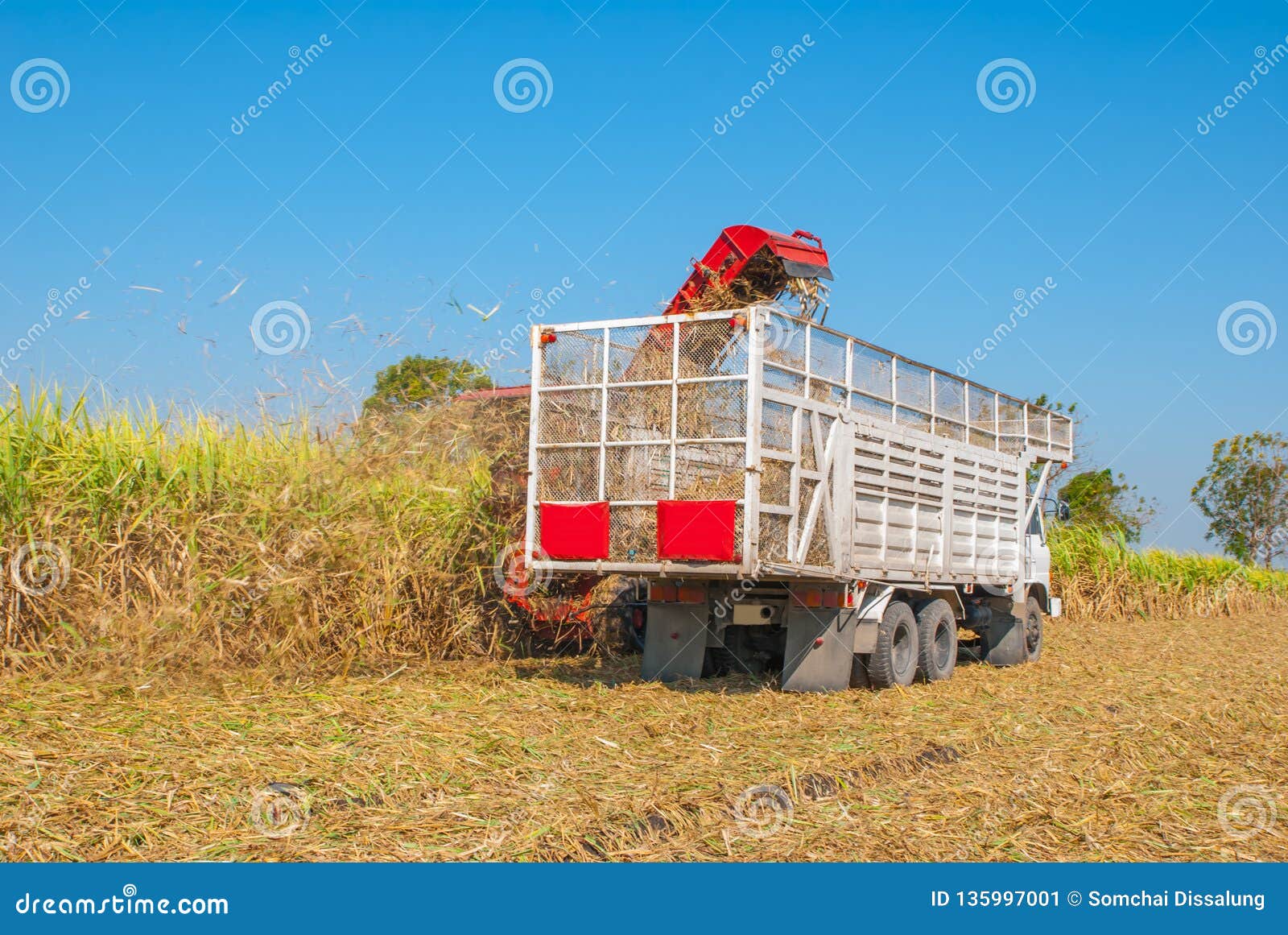 Sugar Cane Machine, Sugar Cane Machine from Thailand Country Editorial ...