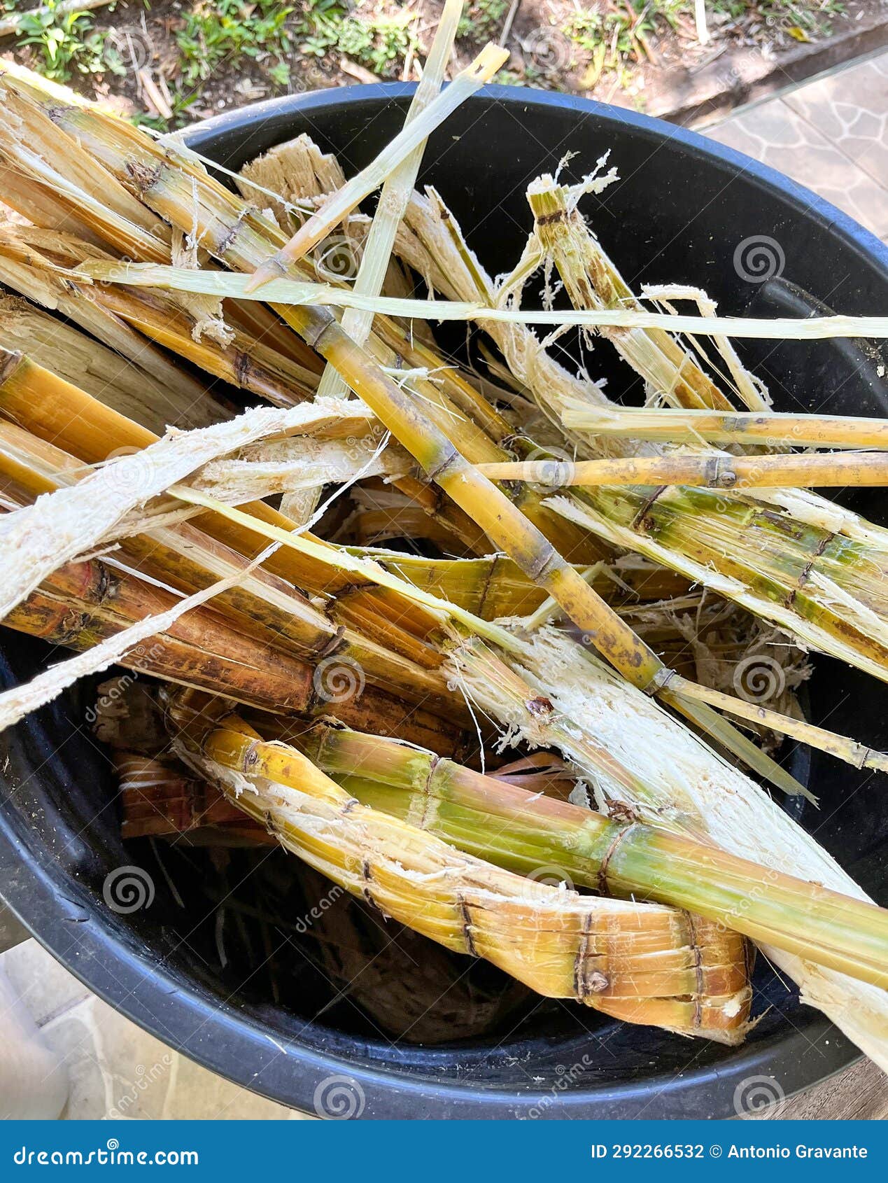 Sugar Cane Manufacturing Process in Costa Rica Stock Photo - Image of ...