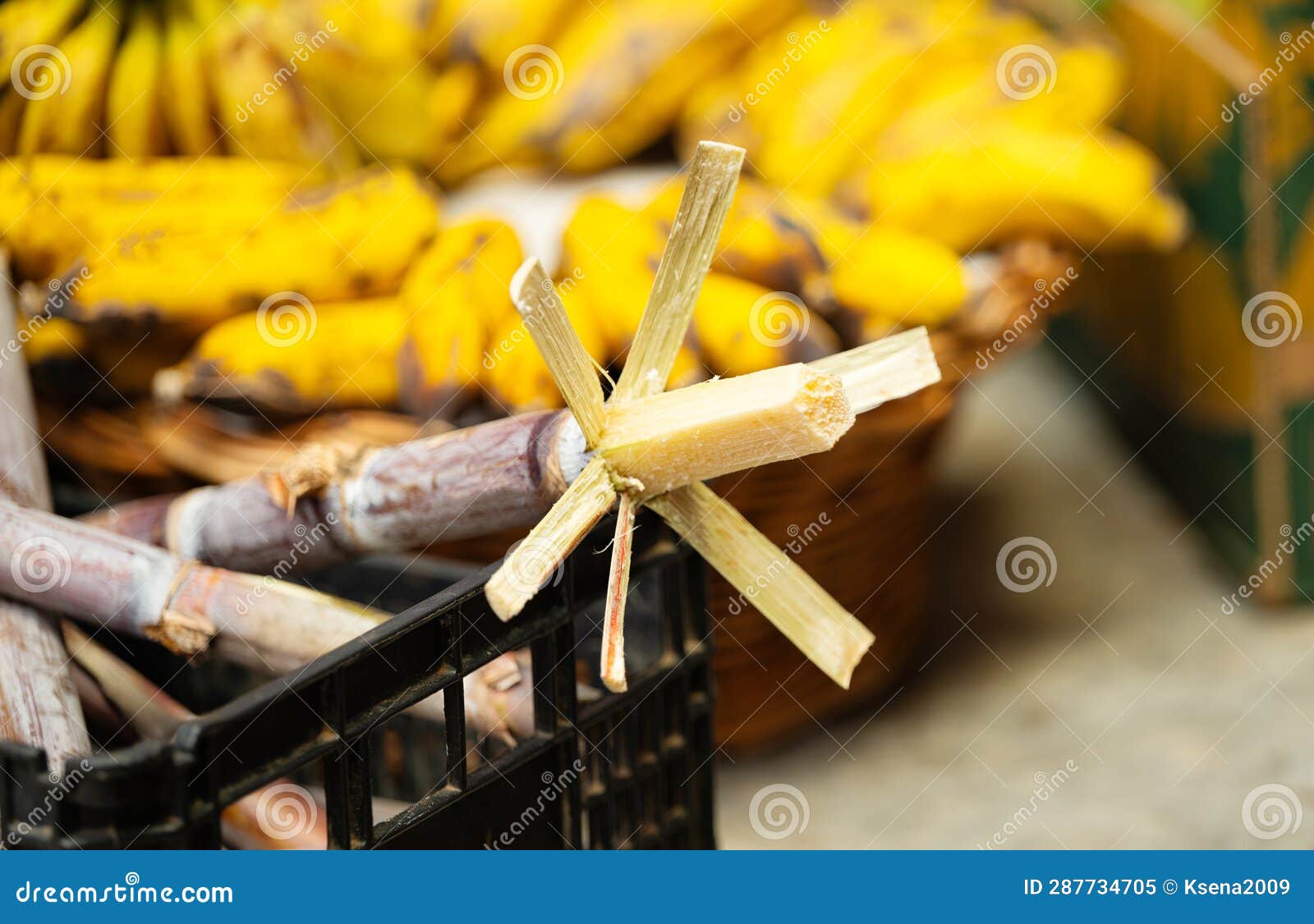 Sugar cane on the market stock image. Image of natural - 287734705