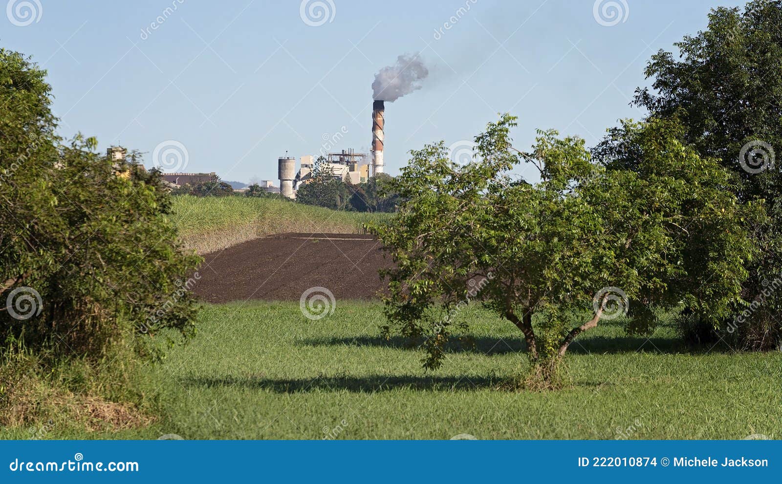 Sugar Cane Mill Across a Paddock Stock Photo - Image of agriculture ...