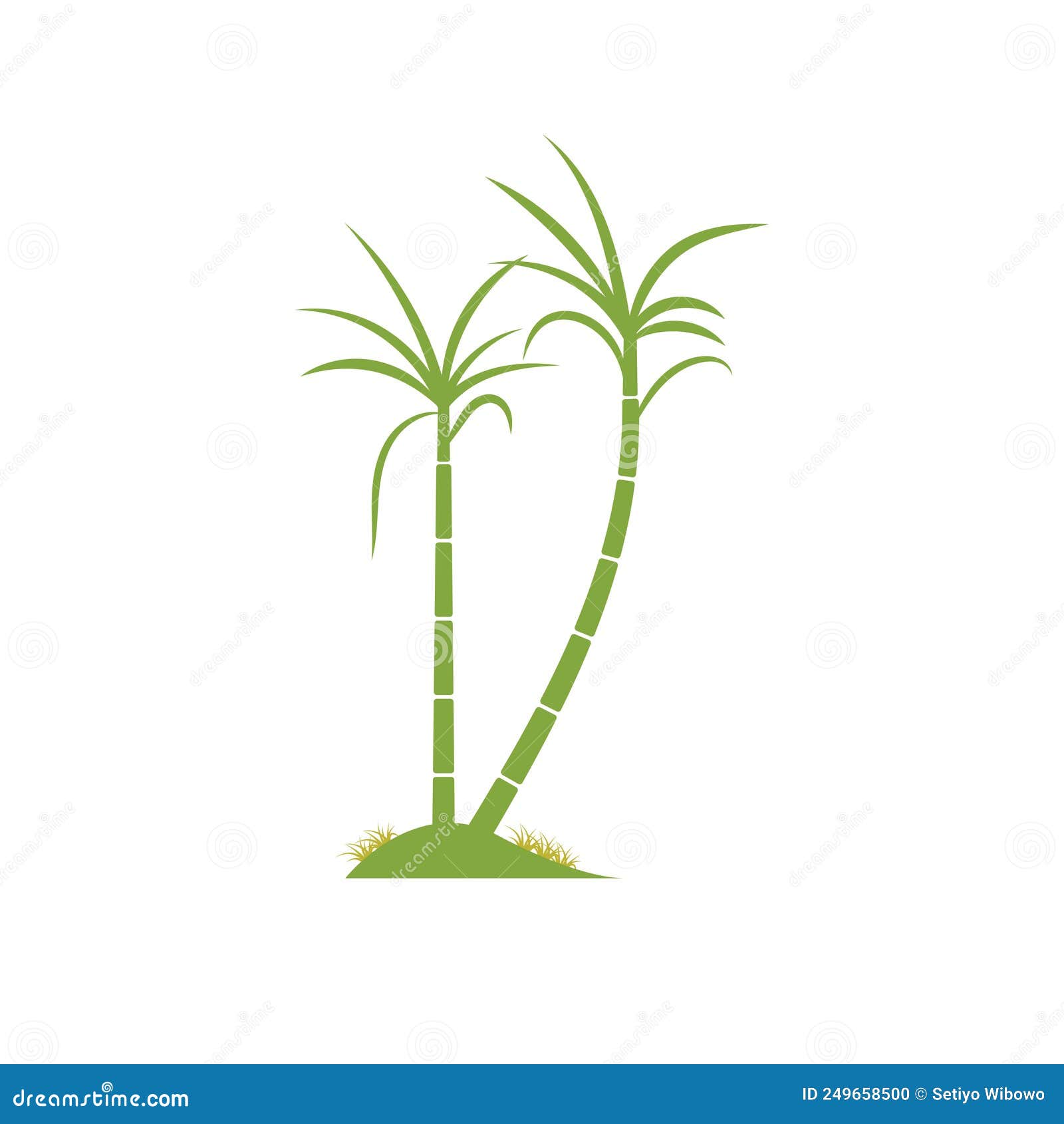 Sugar Cane Plant Logo Vector Illustration Design Stock Vector ...