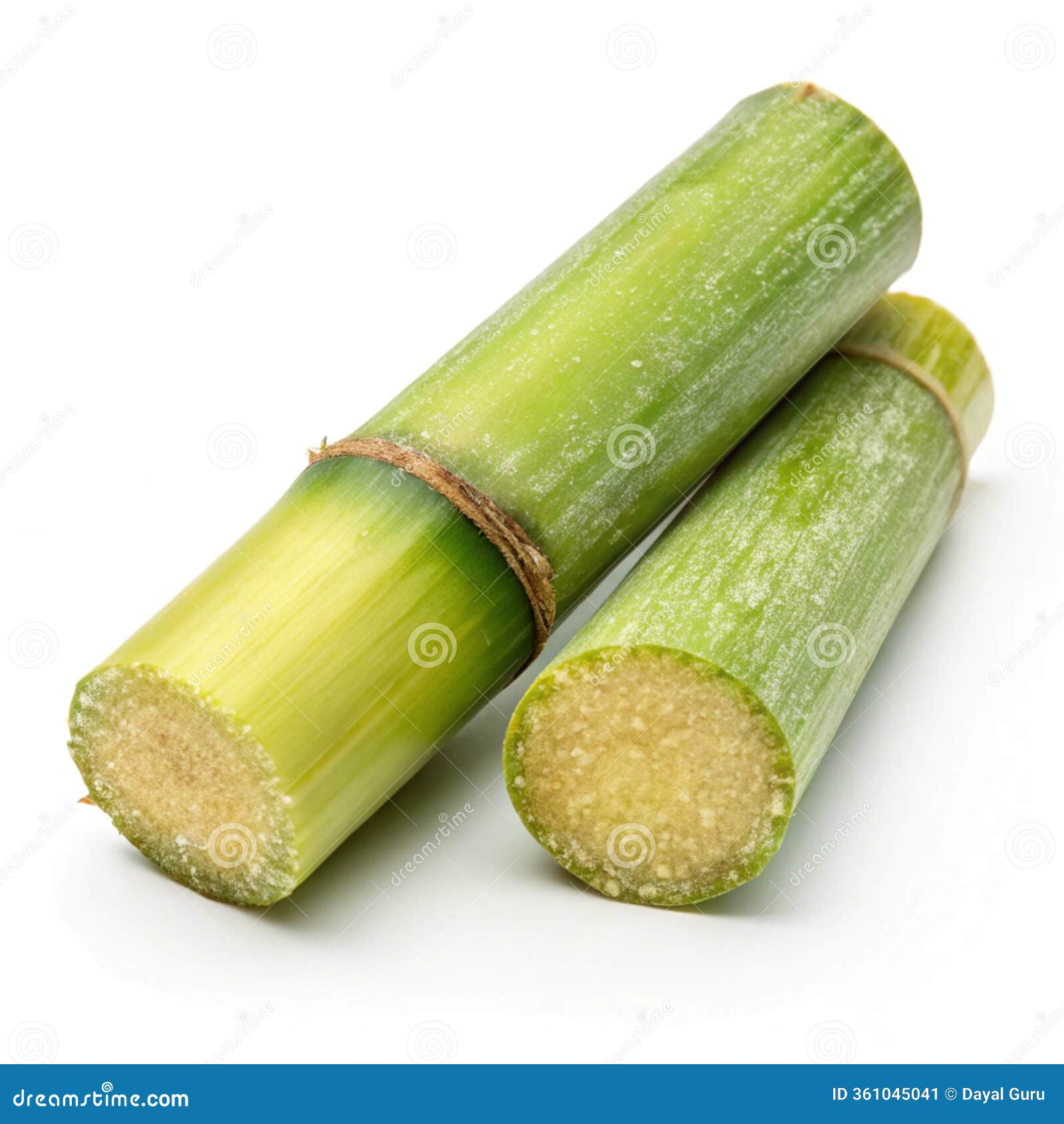 Sugar Cane Segment Isolated on Transparent Background Stock ...