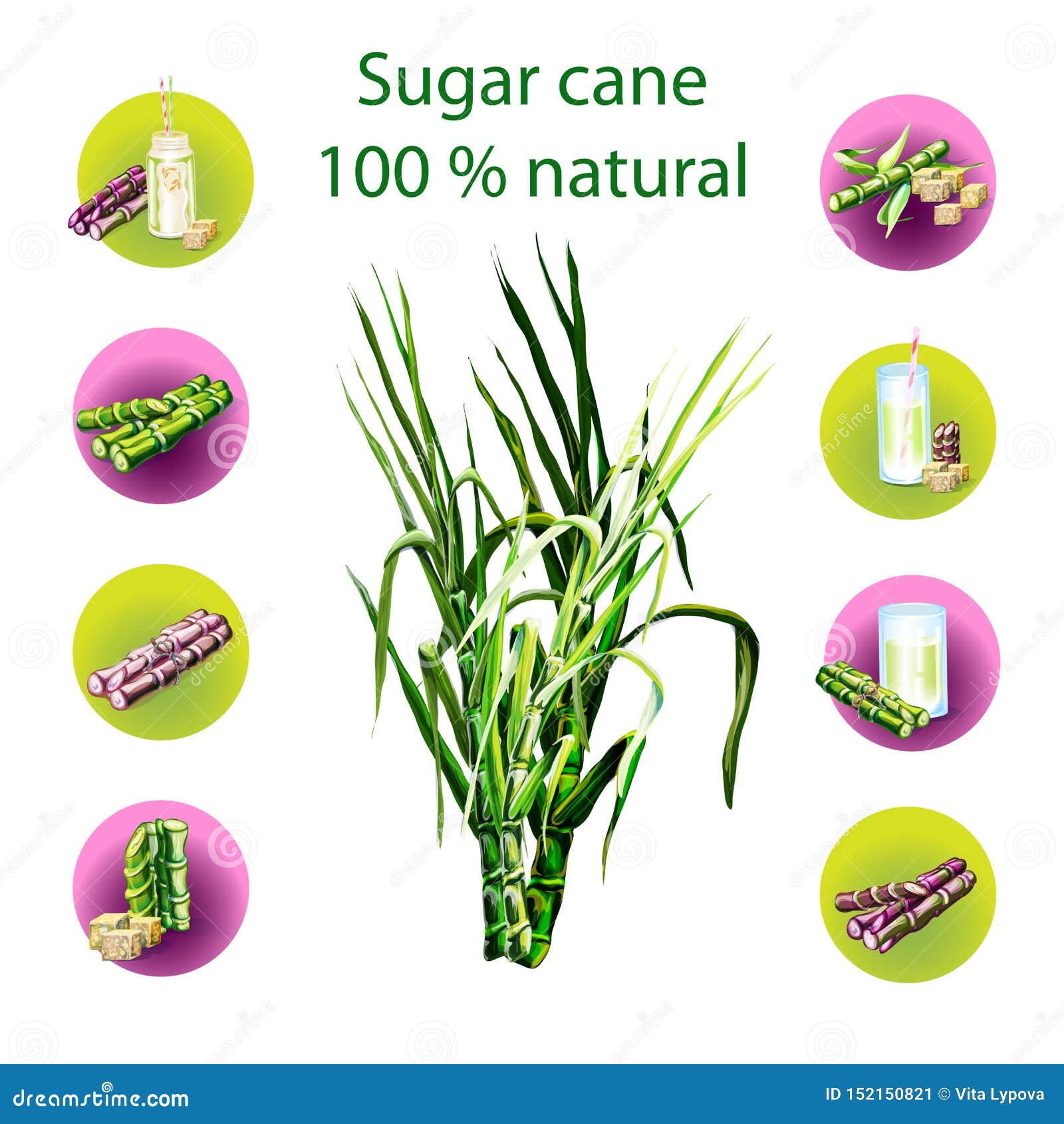 Sugar Cane, Icon Set, Vector Stock Vector - Illustration of style ...